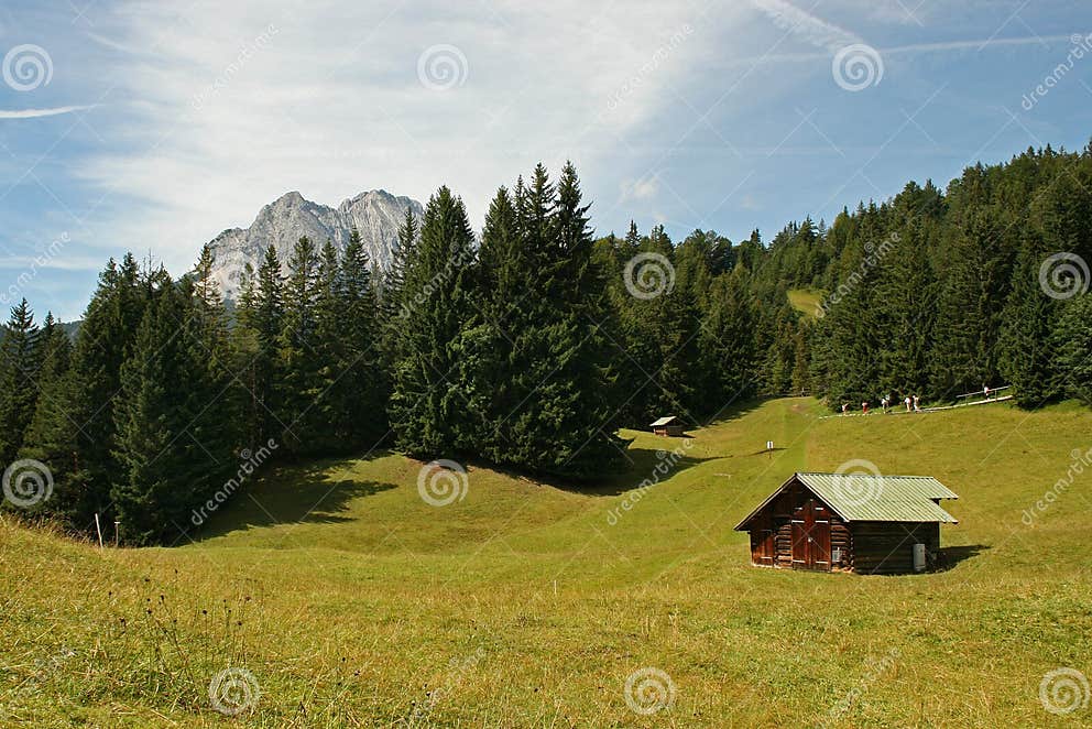 Heidi Country stock image. Image of alps, hike, tree, hiking - 8329669