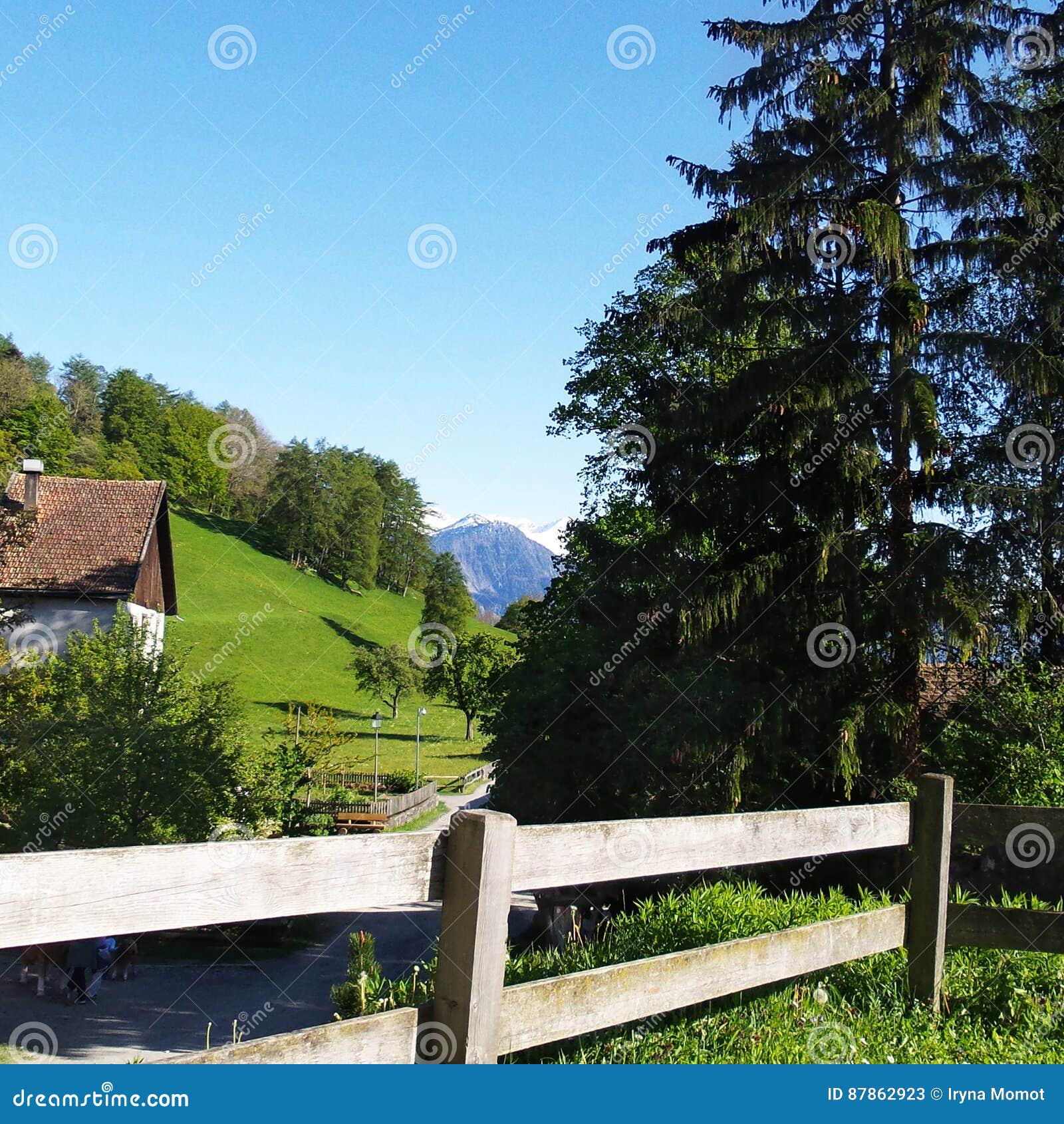 Heidiland in der Schweiz stockbild. Bild von blau, dorf - 87862923