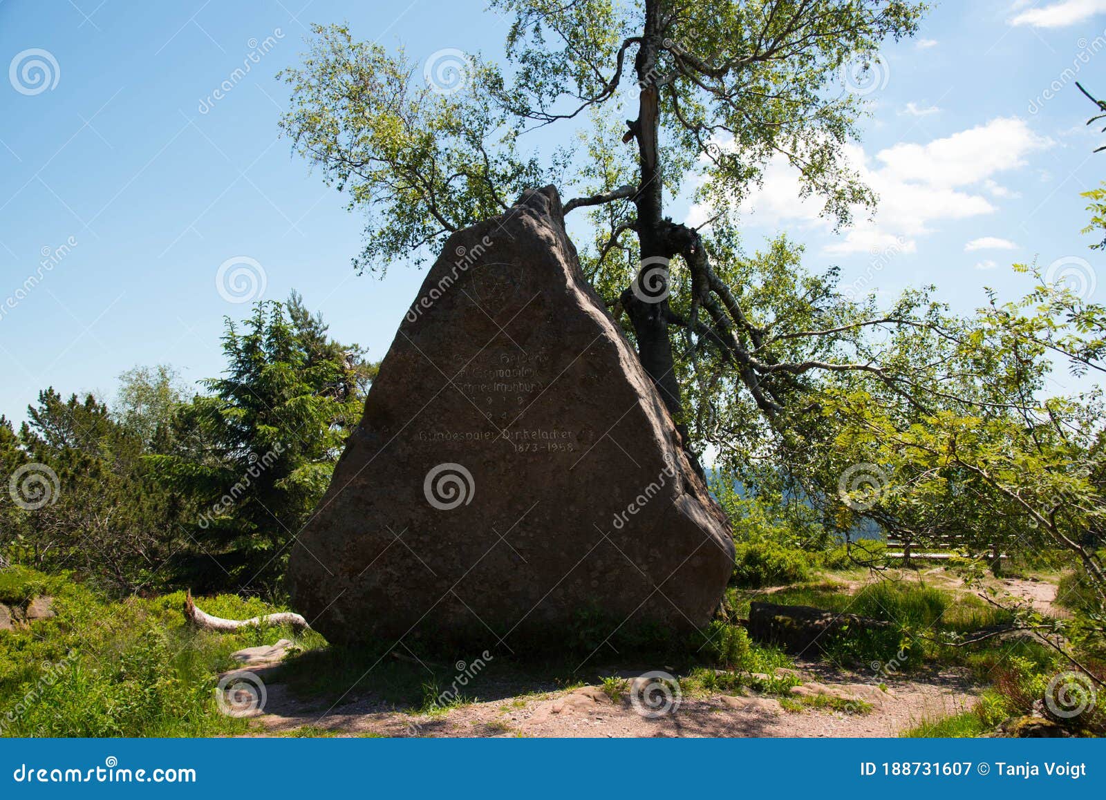Heights of the Black Forest in Germany Stock Image - Image of pine ...