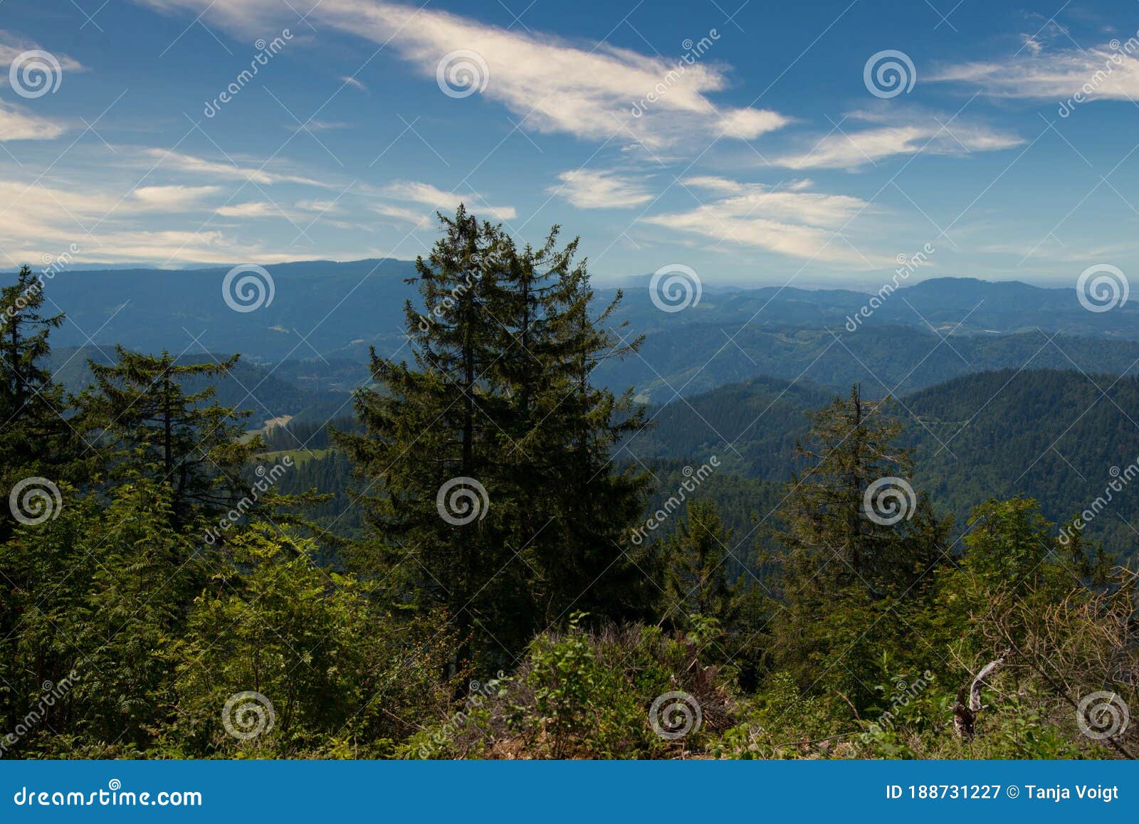 Heights of the Black Forest in Germany Stock Image - Image of travel ...