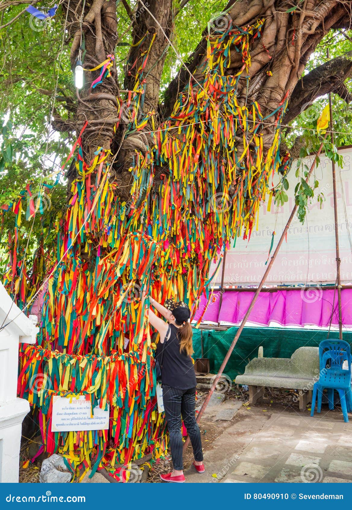 Heilige boom in Koh Kret redactionele afbeelding. Image of thais - 80490910