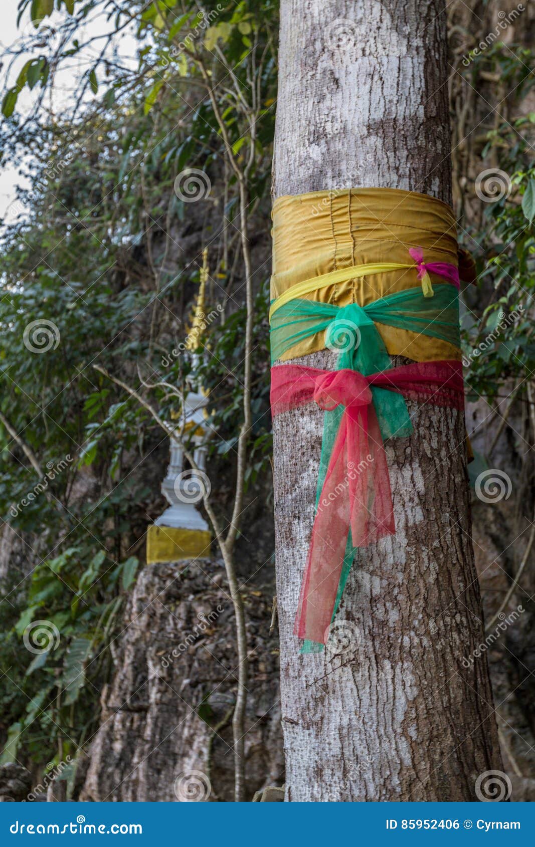 Heilige Boom Met Gekleurd Lint in Aard Stock Foto - Image of boedha ...