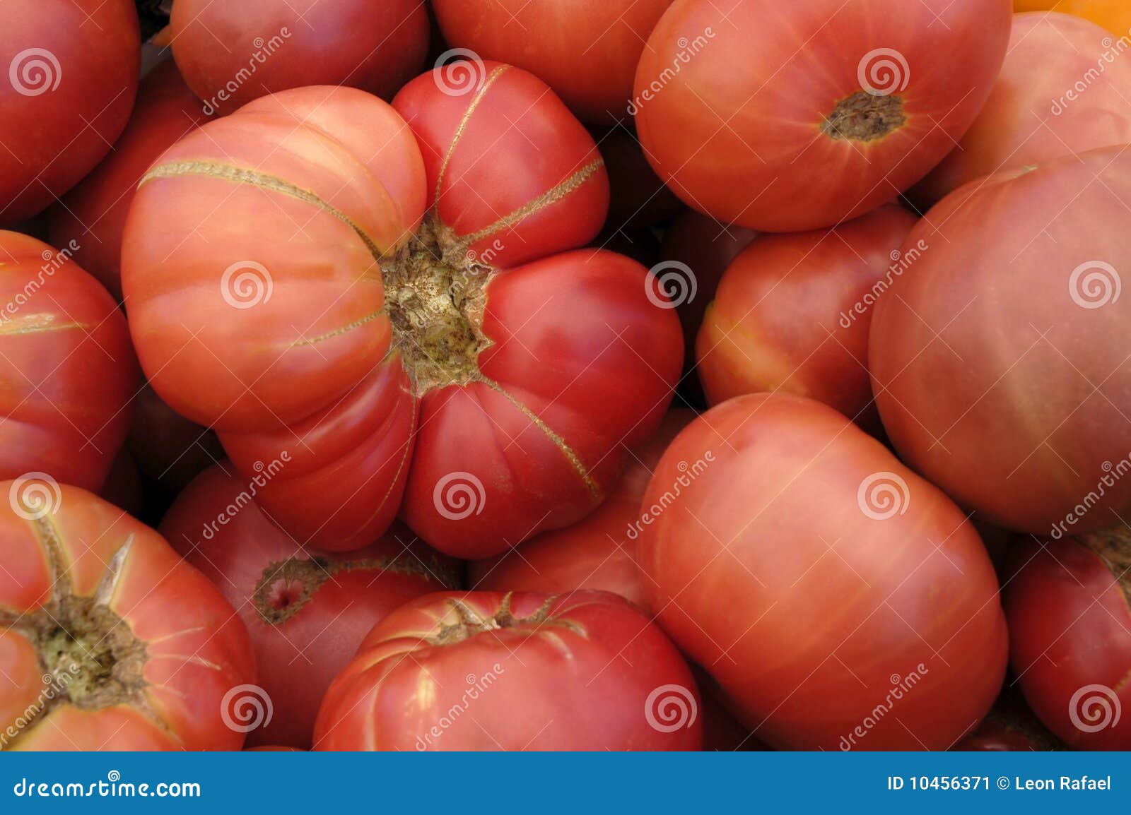 Heirloom Organic Tomatoes stock image. Image of produce - 10456371