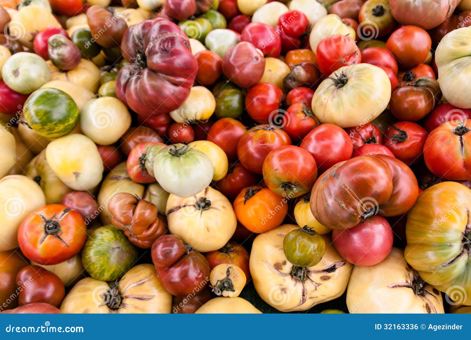 Heirloom tomatoes stock photo. Image of earth, green - 32163336