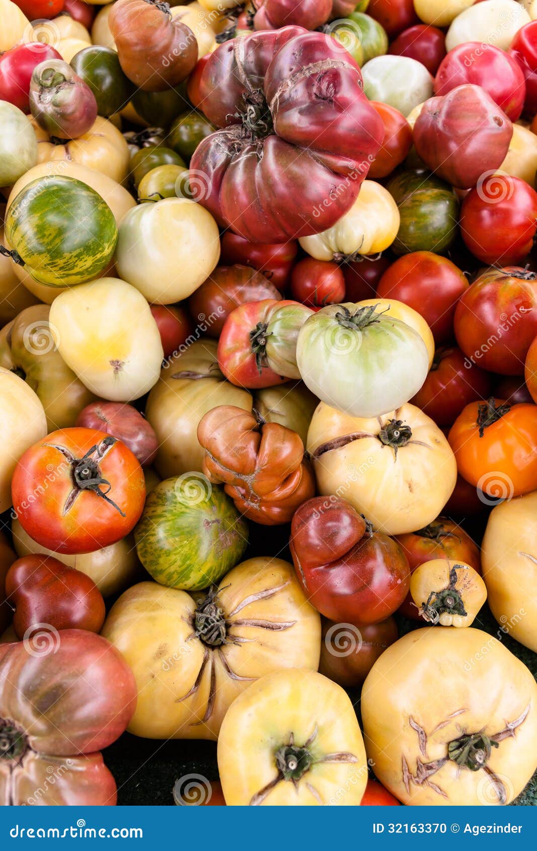 Heirloom tomatoes stock photo. Image of healthy, farming - 32163370