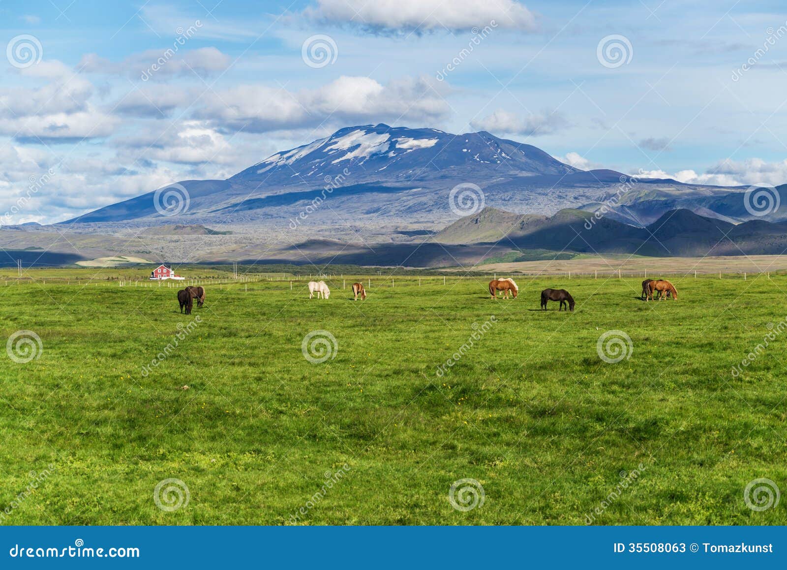 Hekla imagen de archivo. Imagen de fauna, crianza, verde - 35508063