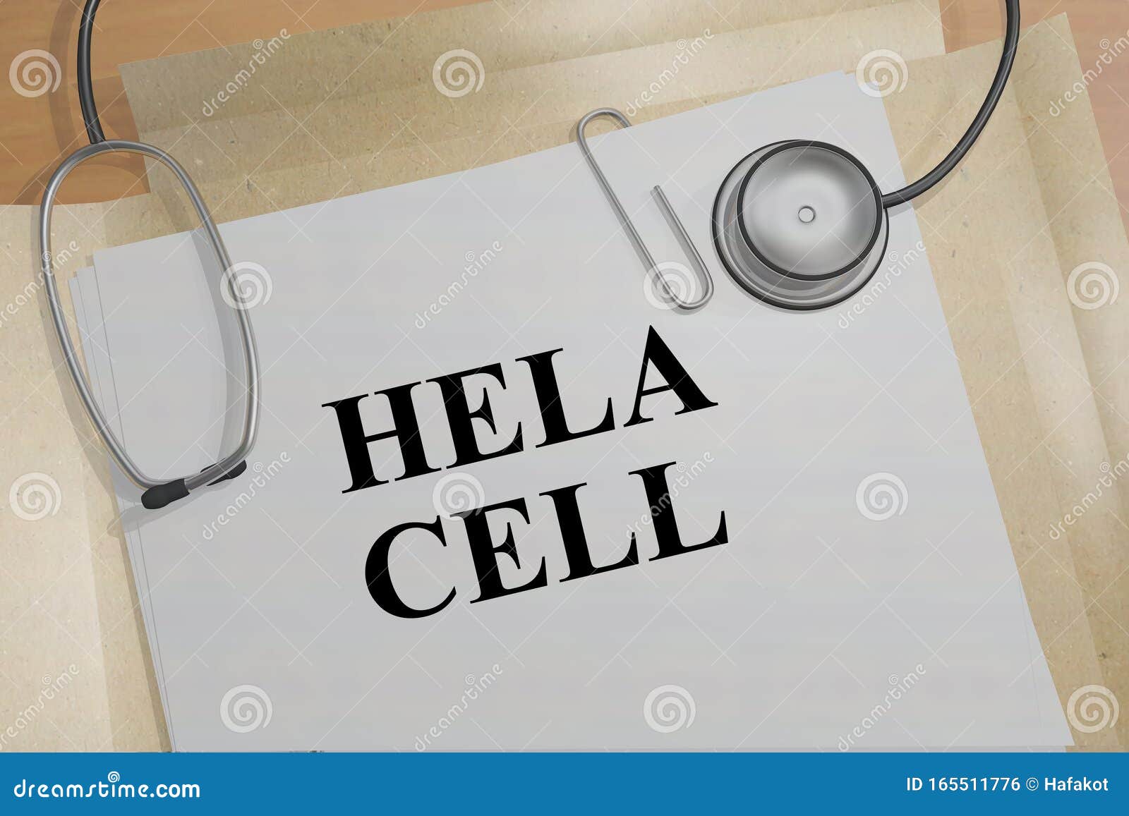 HELA CELL concept stock illustration. Illustration of microfilament ...