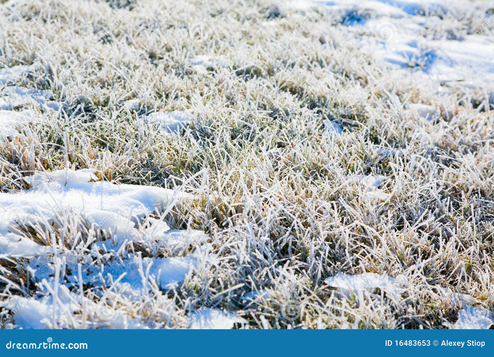 Helada en la tierra imagen de archivo. Imagen de tierra - 16483653
