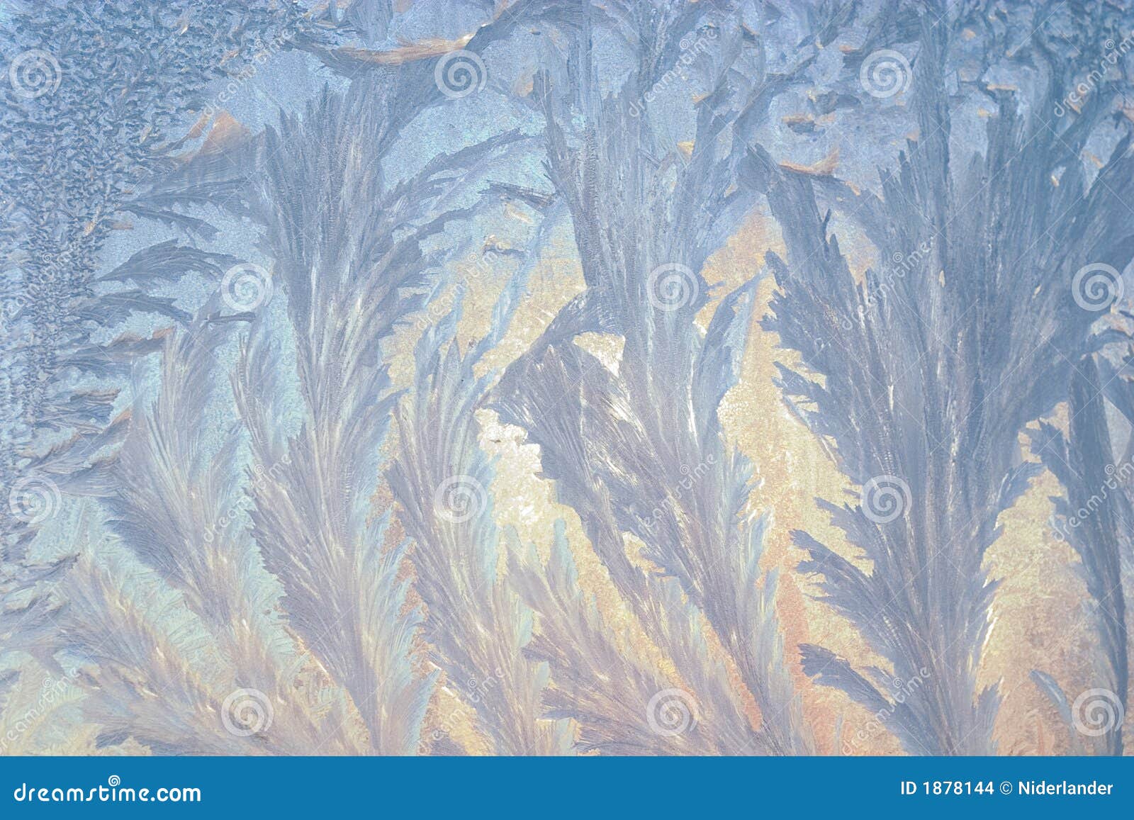 Helar el fondo foto de archivo. Imagen de helado, escarchado - 1878144