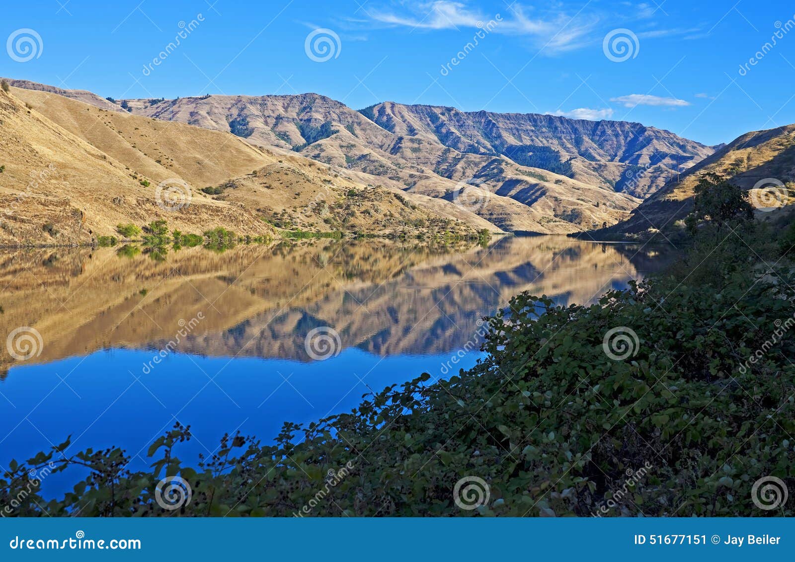 Helcanion met Slangrivier stock afbeelding. Image of oregon - 51677151
