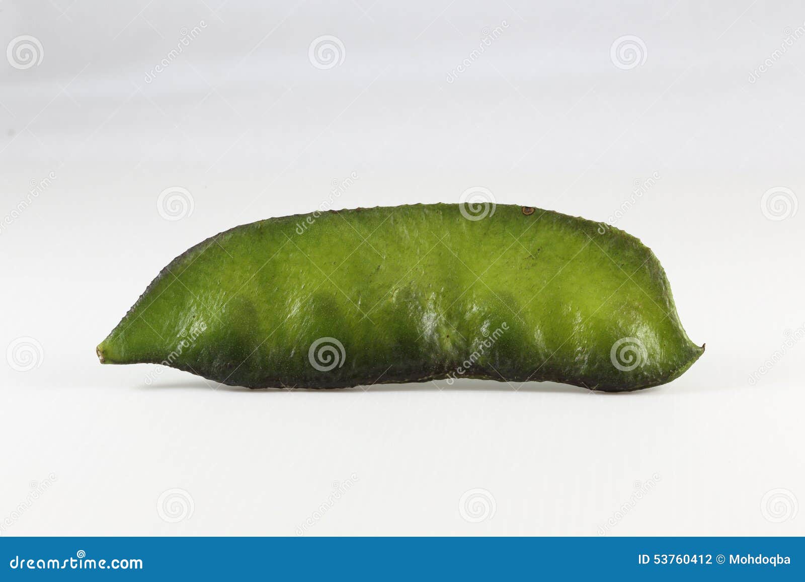 Helda Bean stock photo. Image of cooking, recipe, south - 53760412