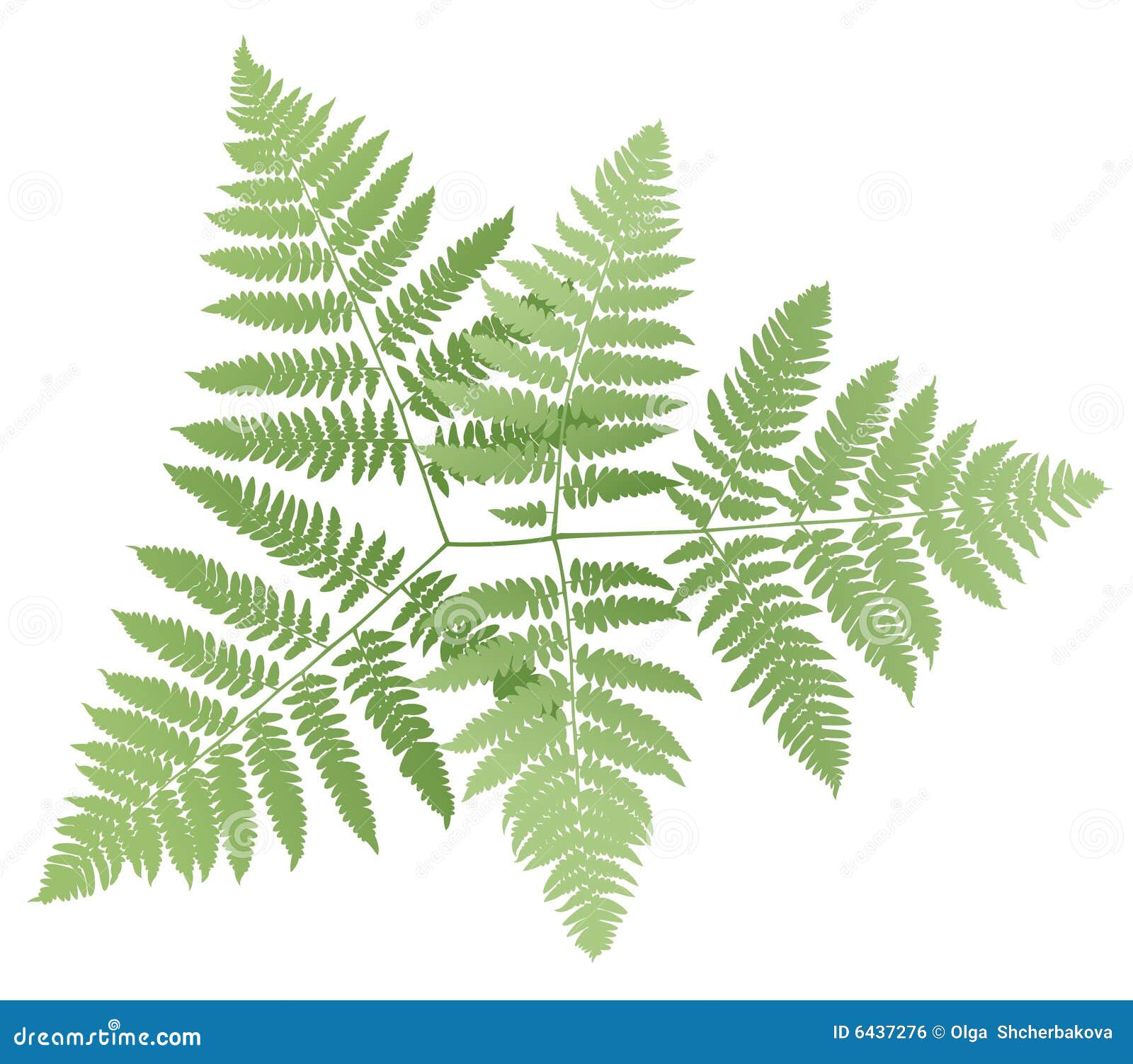 Helecho ilustración del vector. Ilustración de travieso - 6437276