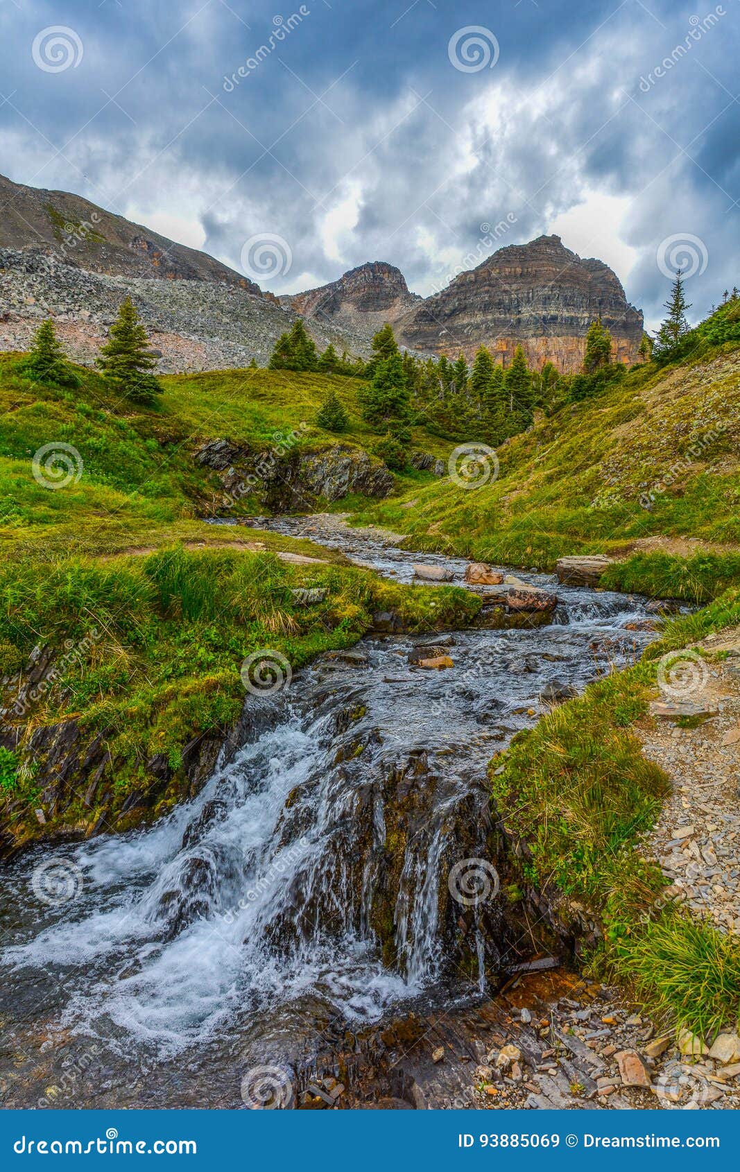 Helen creek stock image. Image of park, canada, river - 93885069