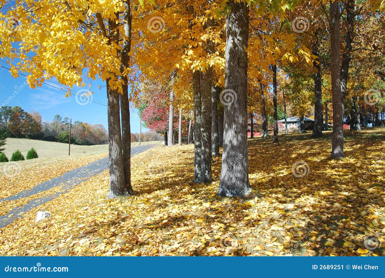 Helen S Fall stock image. Image of autumn, park, foliage - 2689251