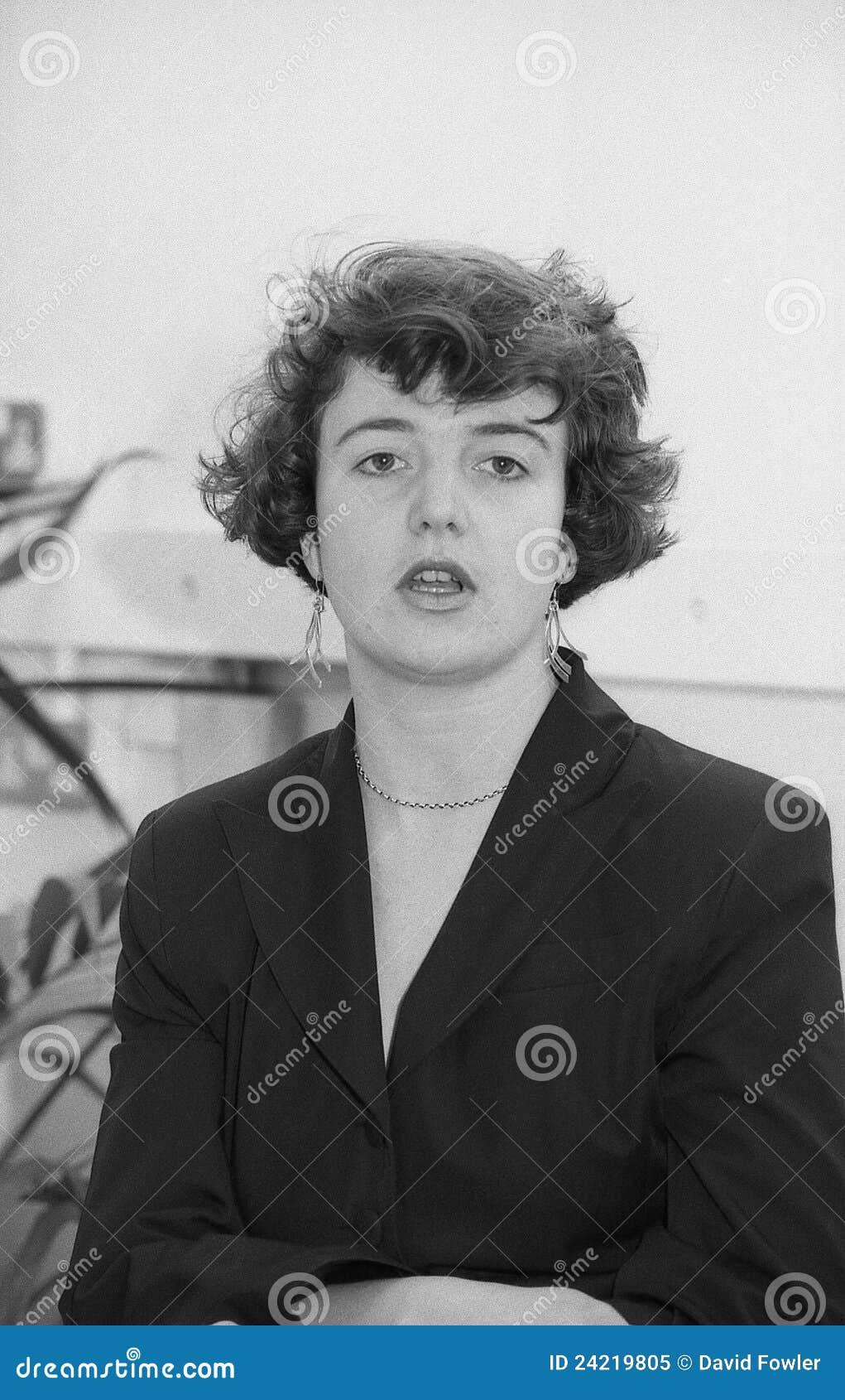 Helen Taylor editorial image. Image of government, secretary - 24219805