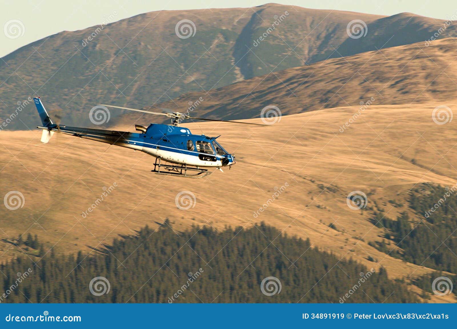 Helicóptero Ecureuil AS350 B3 En Vuelo Imagen de archivo editorial ...