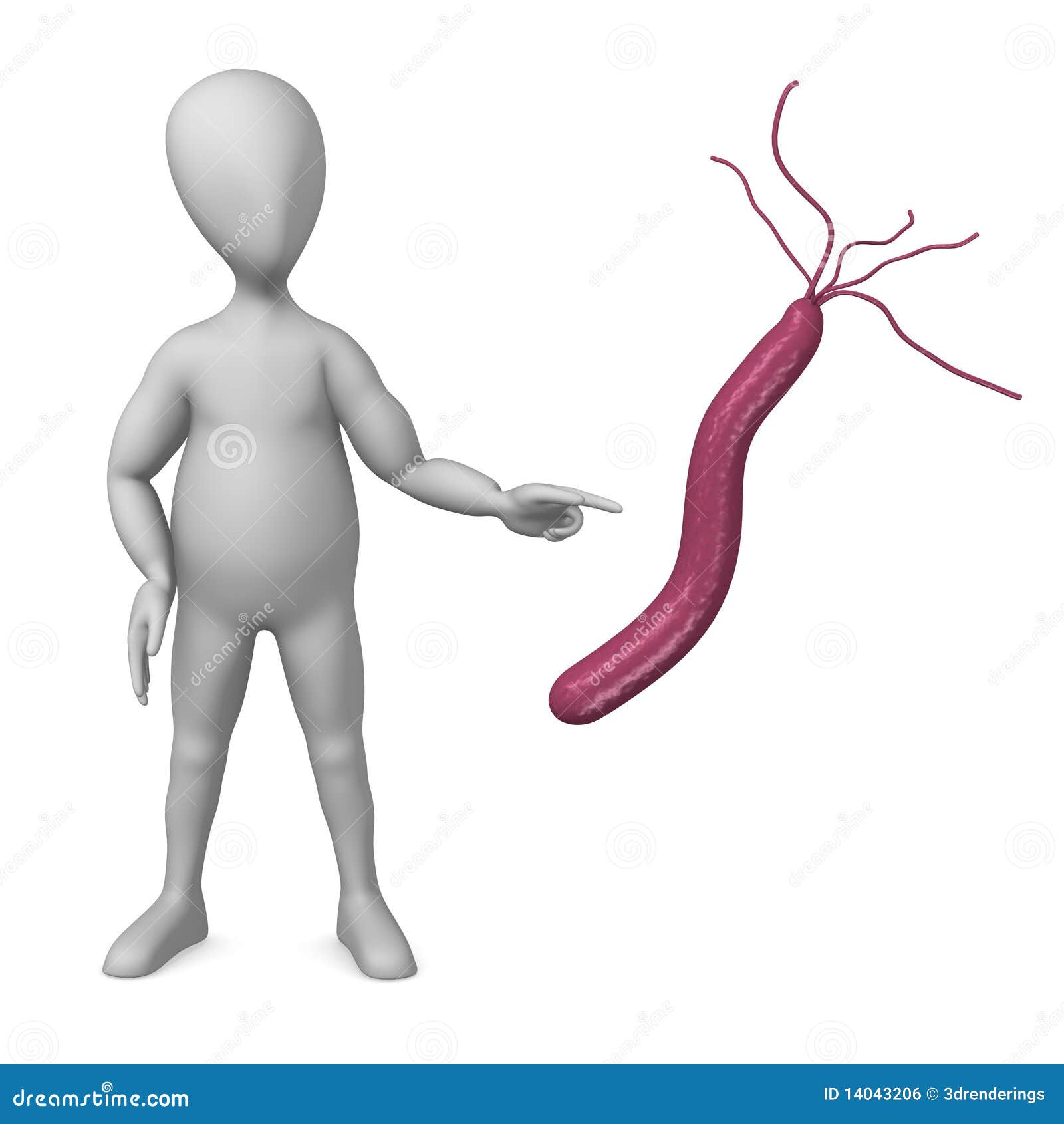 3d Render Of Helicobacter Pylori Stock Photography | CartoonDealer.com ...