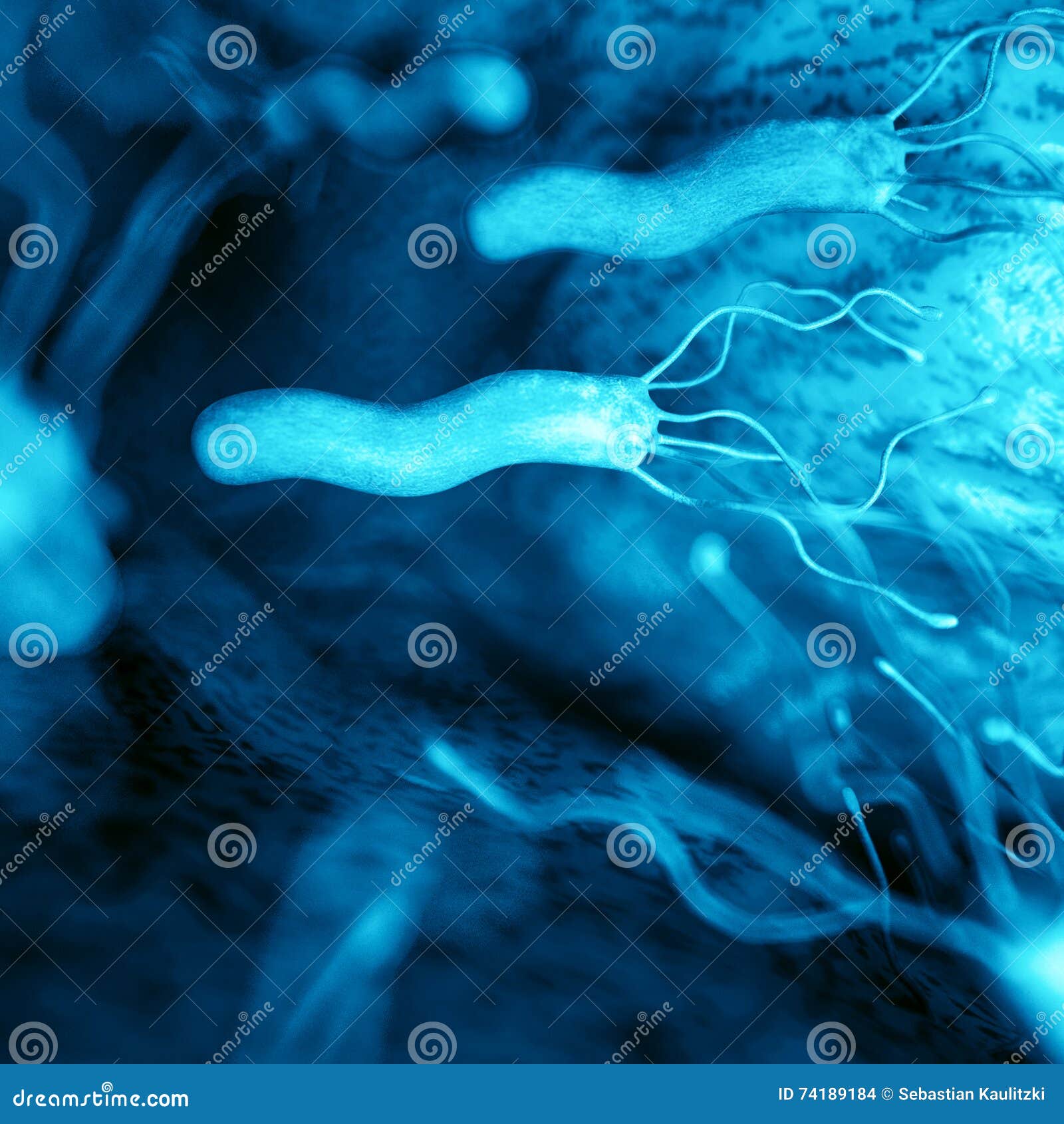 The Helicobacter Pyloris - Close Up Royalty-Free Cartoon ...