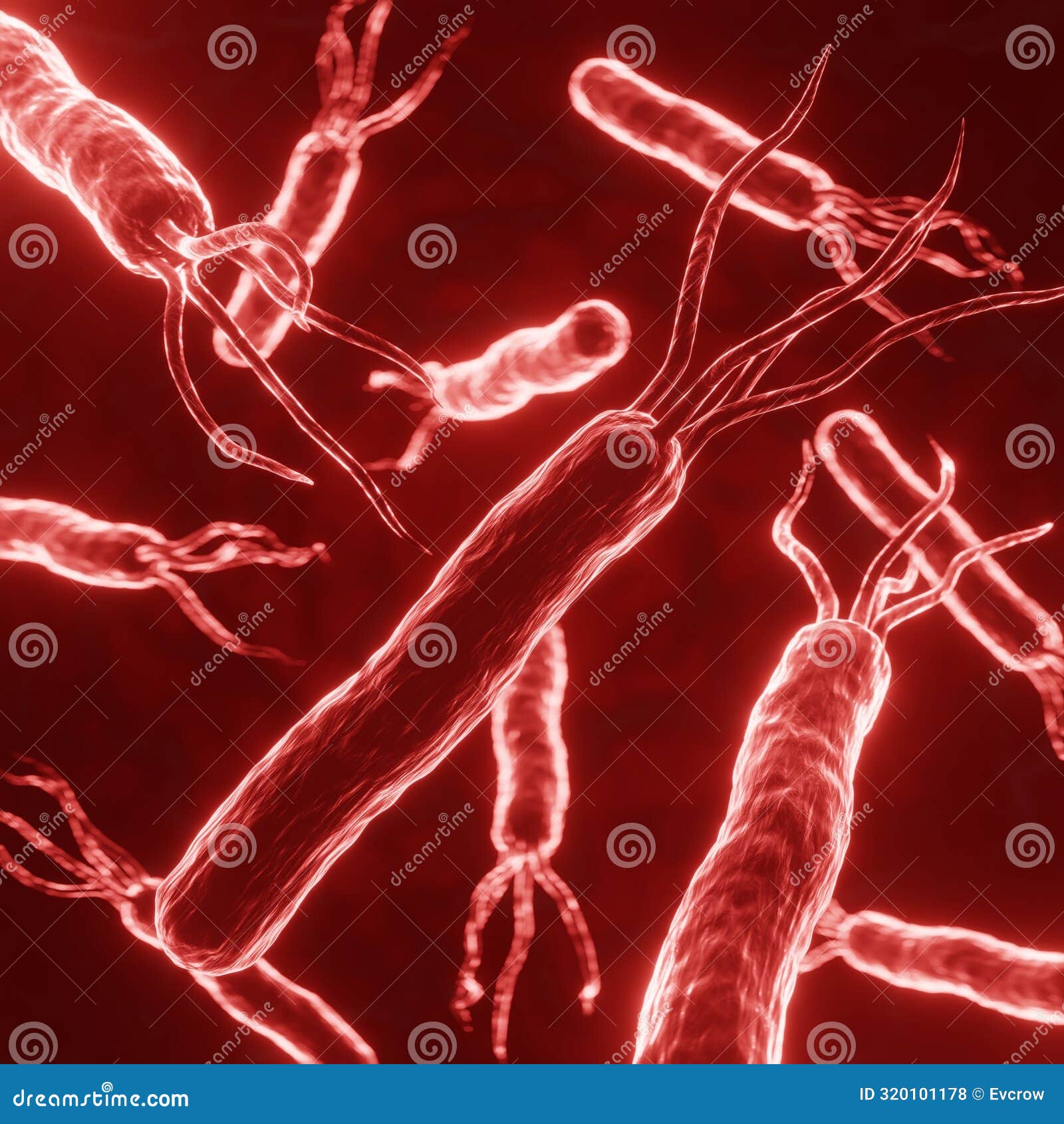 Helicobacter Pylori Bacteria Cells On Red Background Stock Photography ...