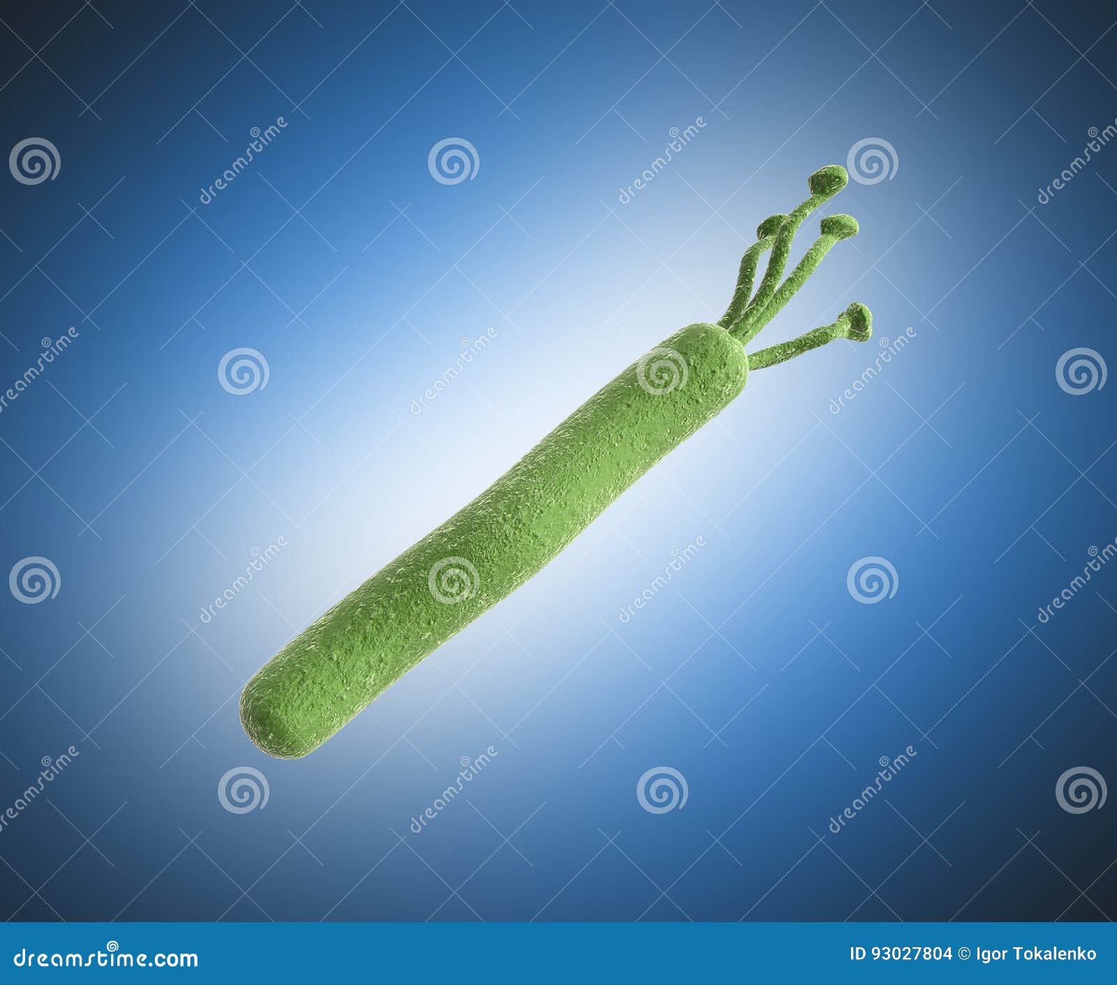 3d Render Of Helicobacter Pylori Stock Photography | CartoonDealer.com ...