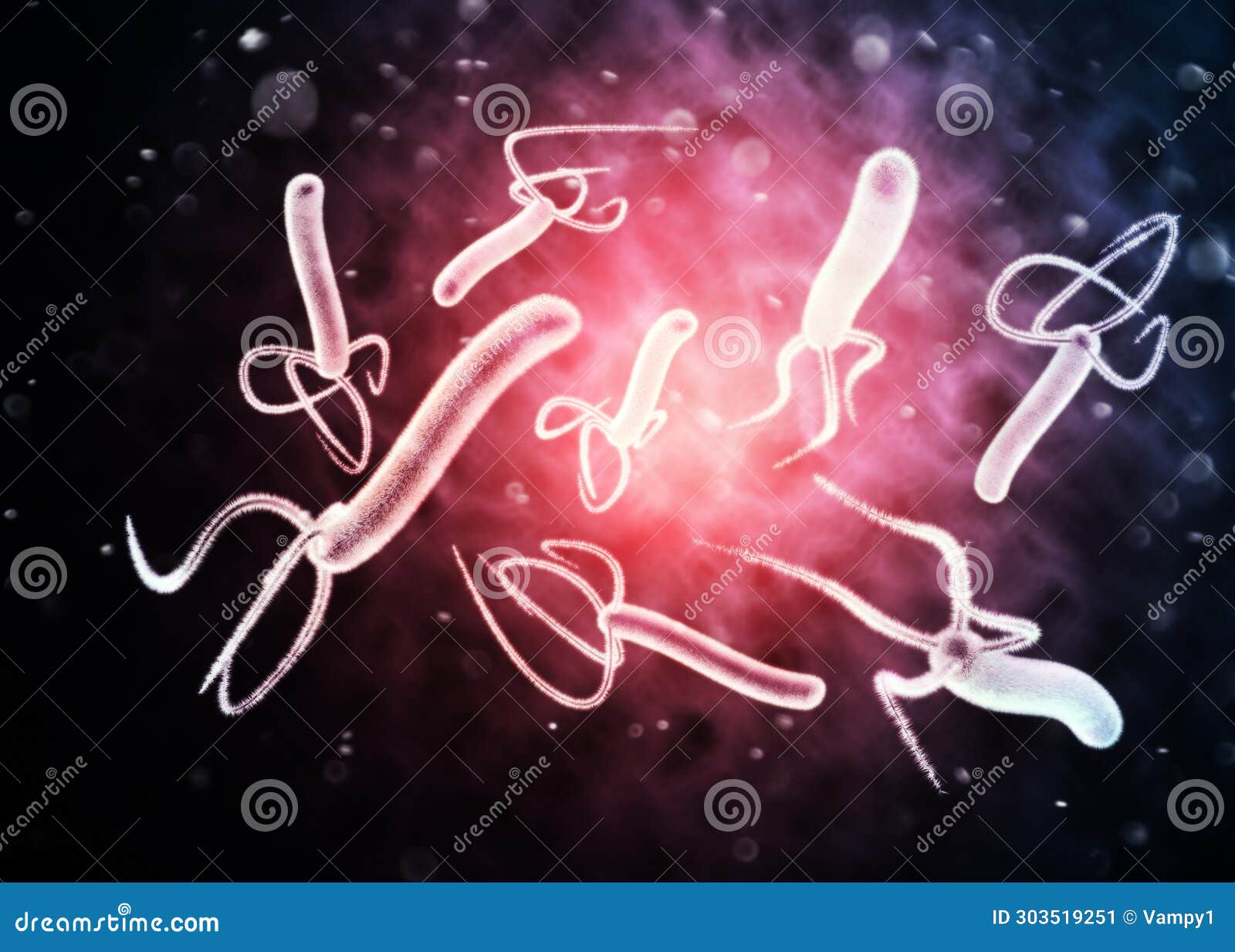 Helicobacter Pylori is a Gram-negative, Flagellated, Helical Bacterium ...