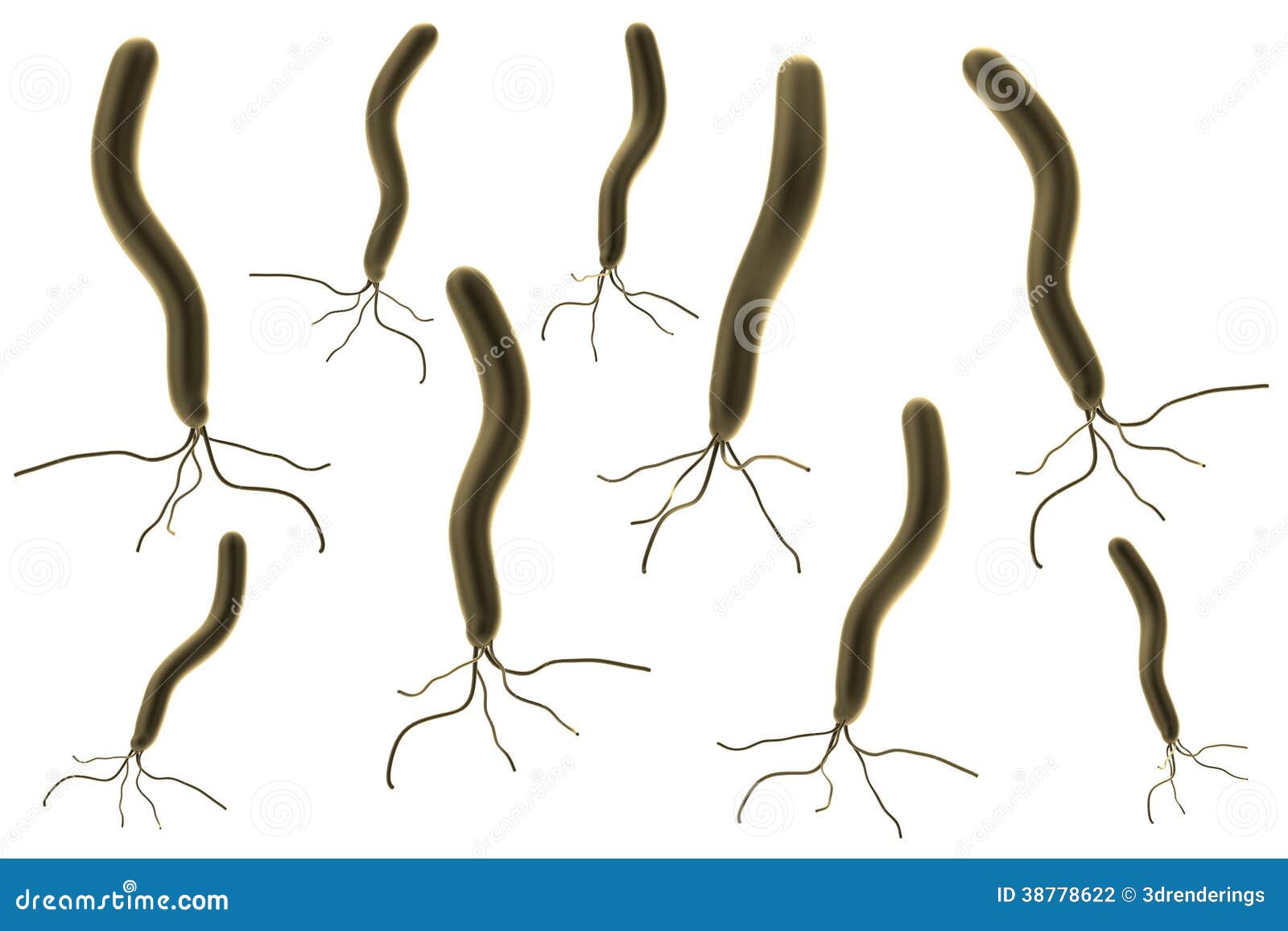 3d Render Of Helicobacter Pylori Stock Photography | CartoonDealer.com ...