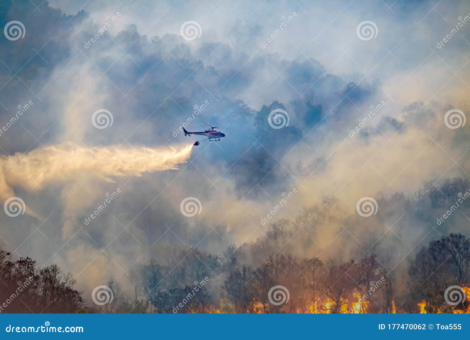 Helicopter Dropping Water on Forest Fire Stock Photo - Image of forest ...