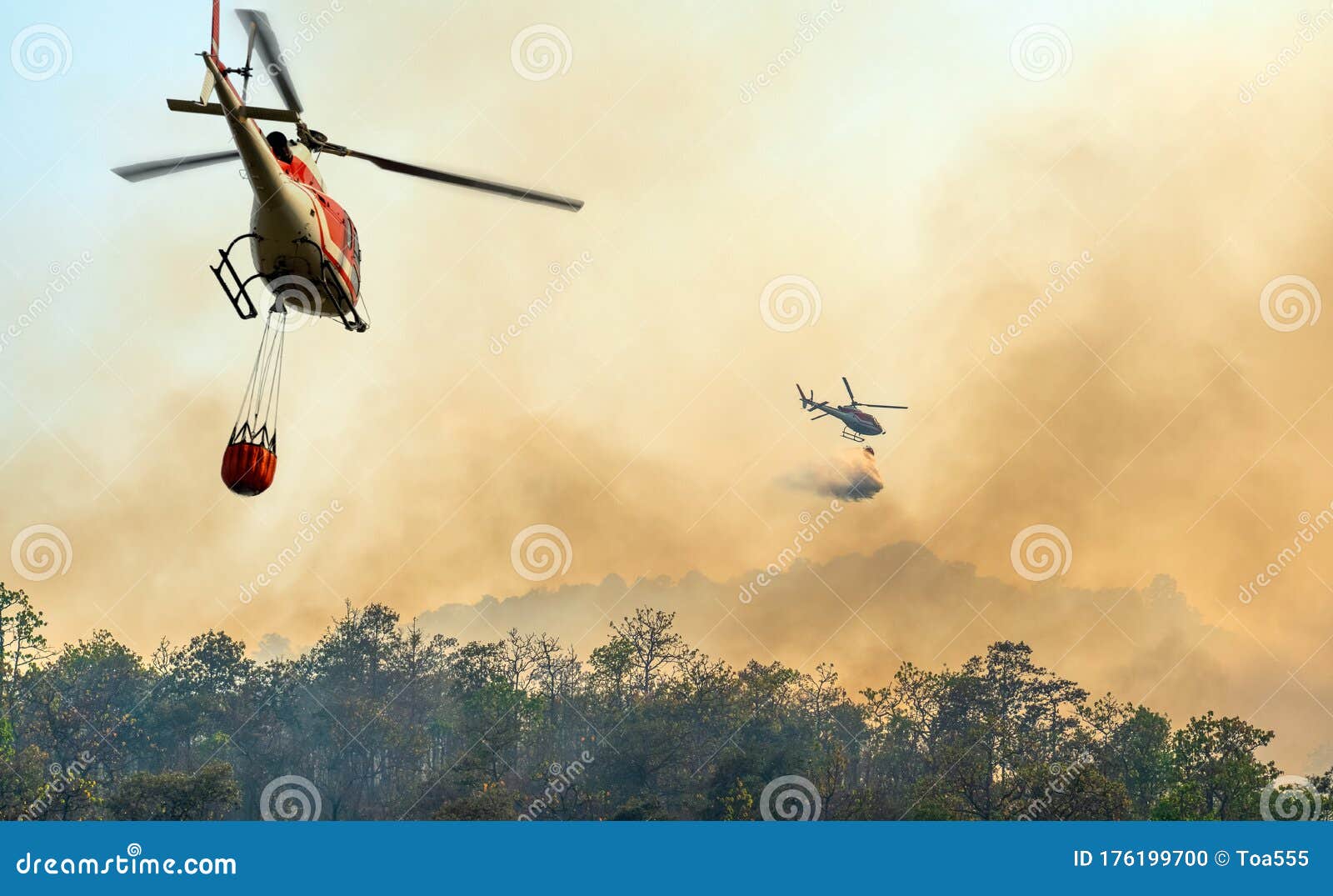 Helicopter Dumping Water on Forest Fire Stock Photo - Image of forestry ...