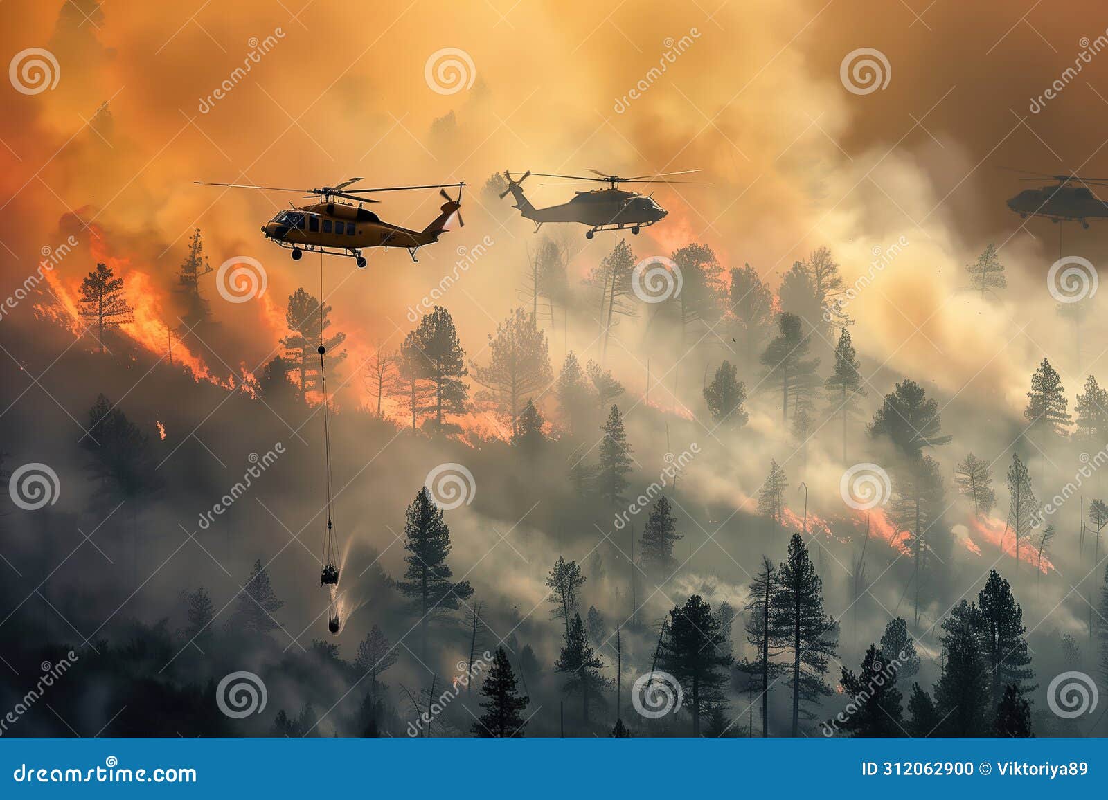 Helicopter Extinguishing Forest Fire. Rescue Air Transport. Remote ...