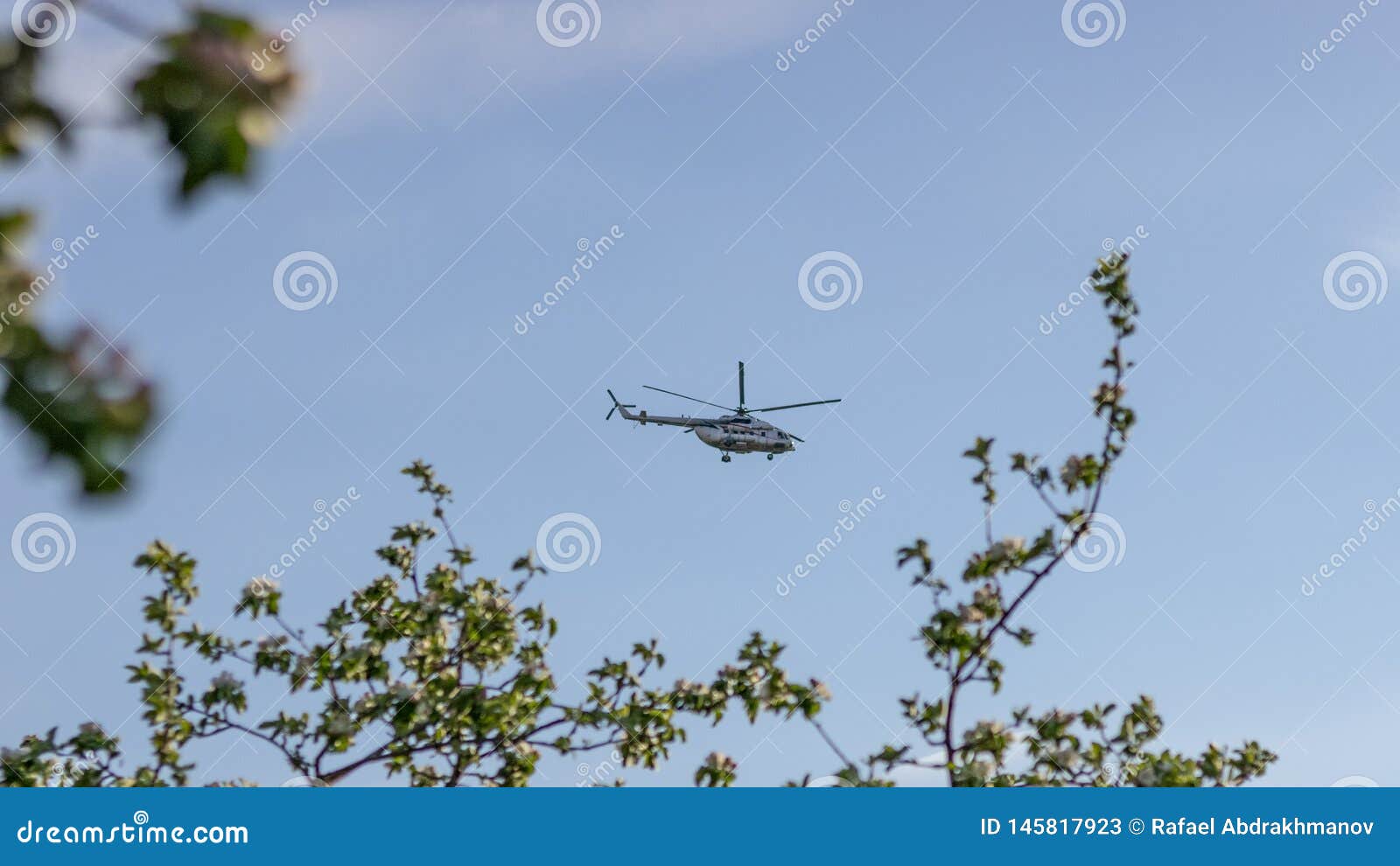 Helicopter Flying Over Tree Tops in Spring Stock Image - Image of ...