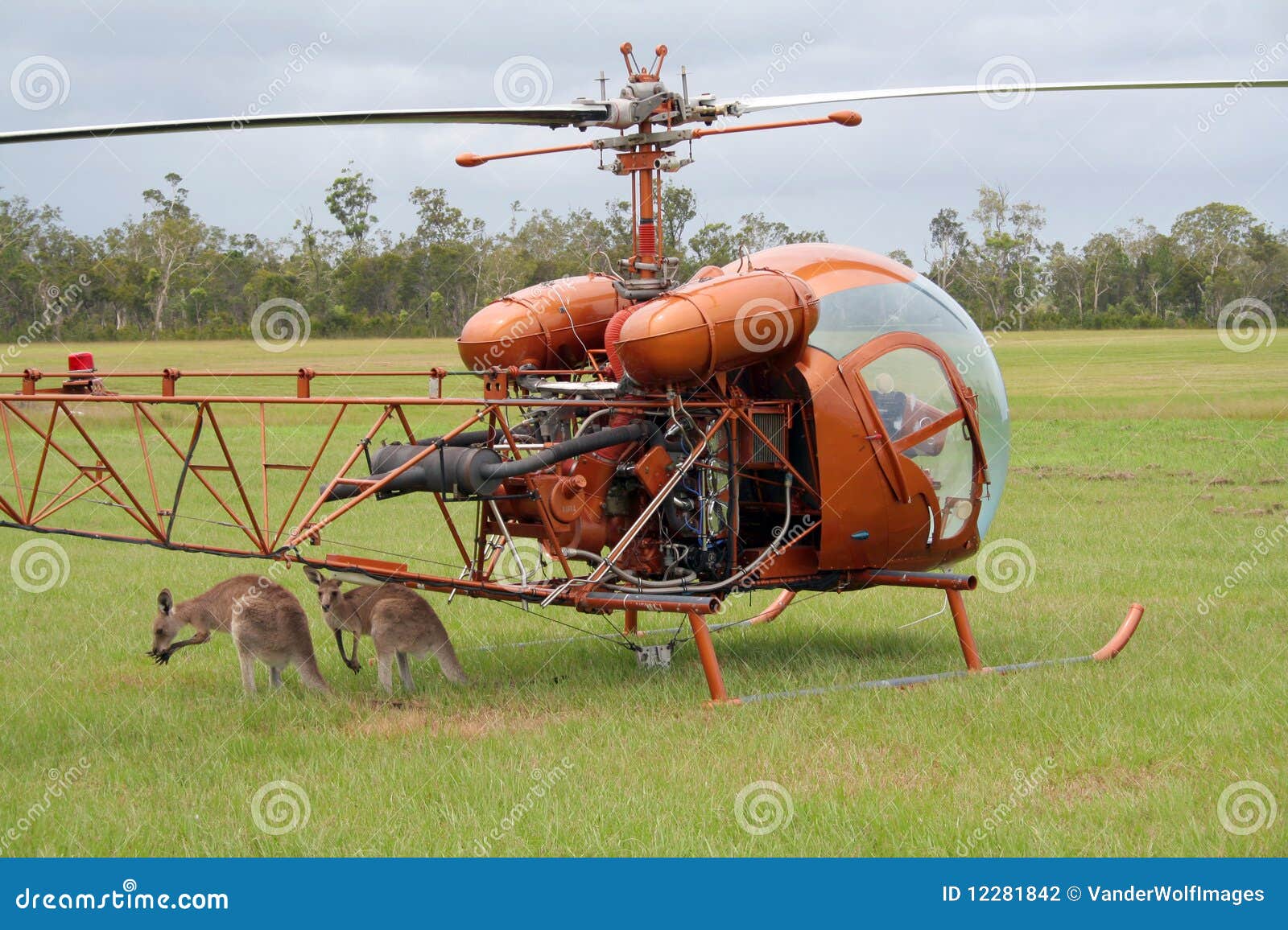 Helicopter with kangaroos stock photo. Image of transport - 12281842