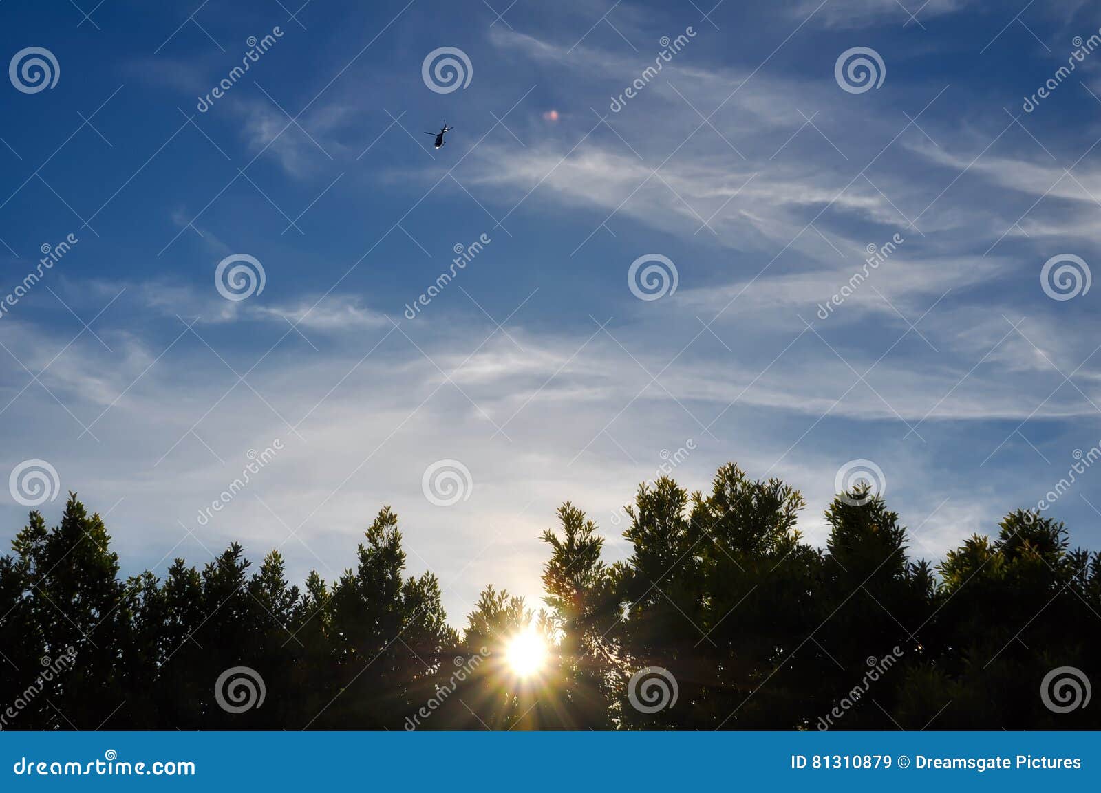 Helicopter over forest stock image. Image of sunrise - 81310879