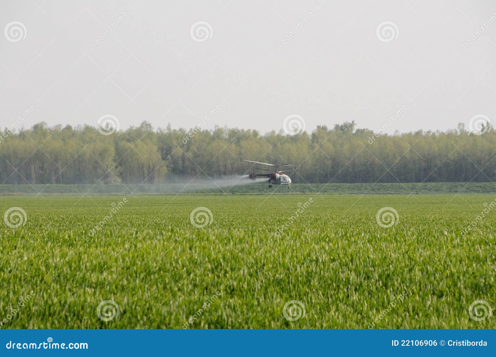Helicopter Spraying Substances Over Green Field Stock Photo - Image of ...
