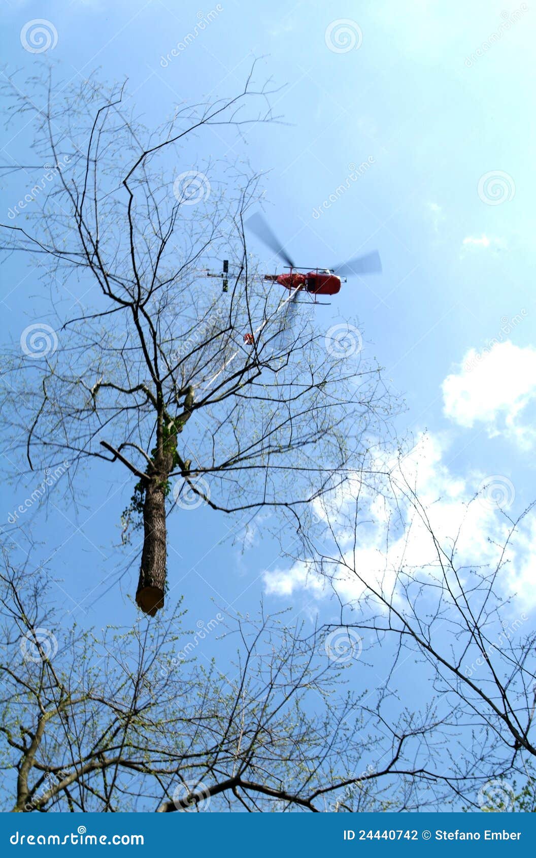 Helicopter Transporting a Tree Stock Photo - Image of helicopter, wood ...