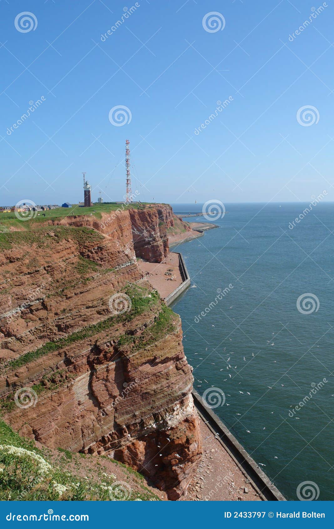 Heligoland stock image. Image of bird, sandstone, tourism - 2433797