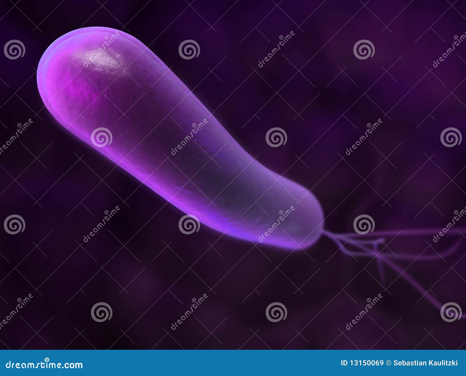 Heliobacter stock illustration. Illustration of illness - 13150069