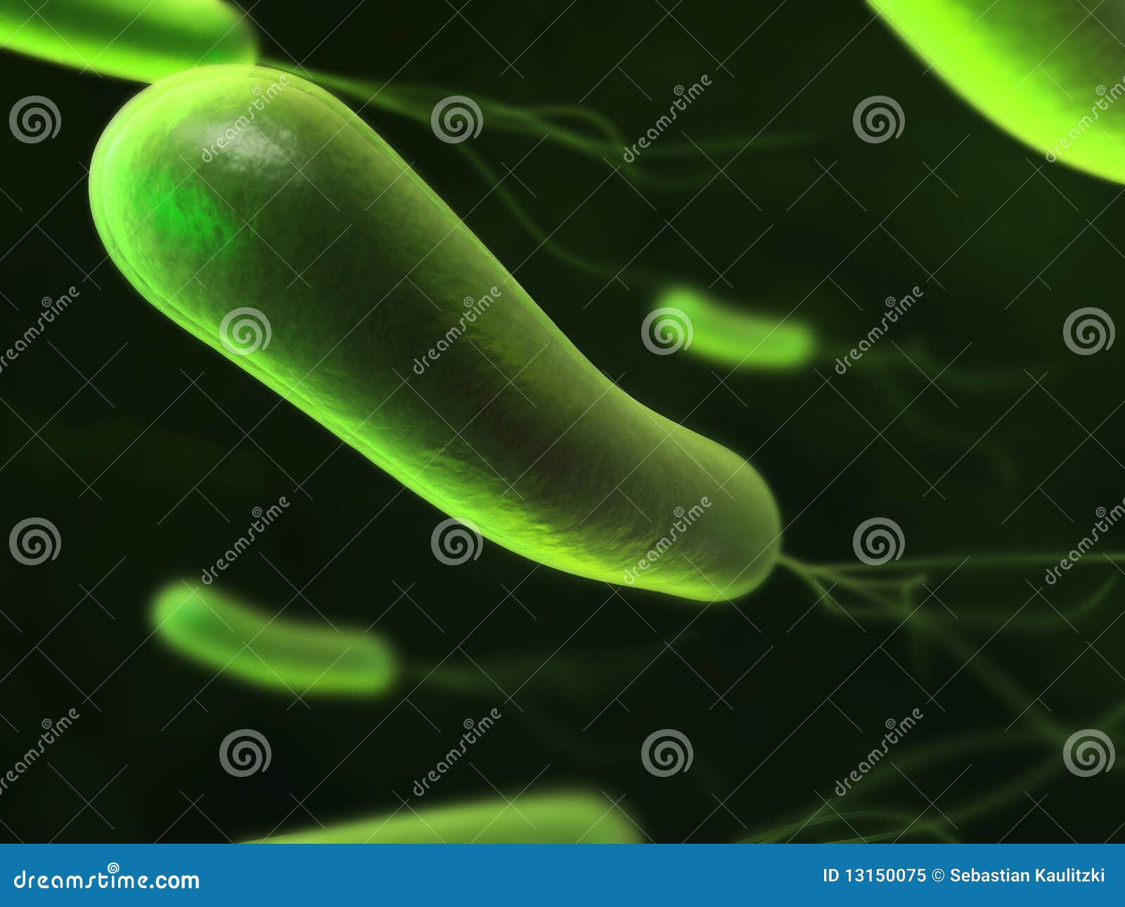 Heliobacter stock illustration. Illustration of experiment - 13150075