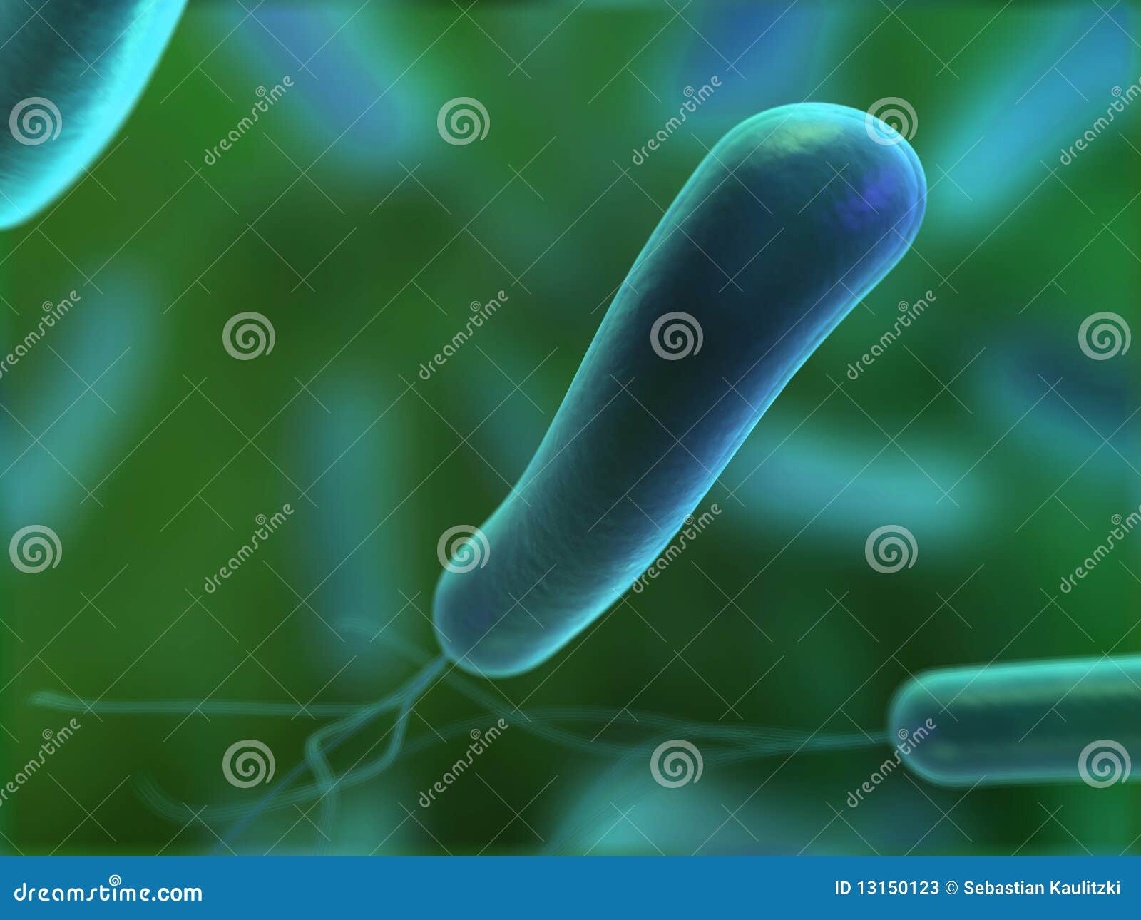 Heliobacter stock illustration. Illustration of close - 13150123