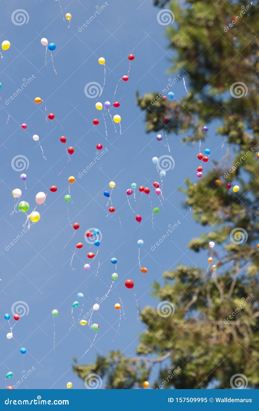 Helium Balloons Fly in the Sky Stock Image - Image of festival, shiny ...