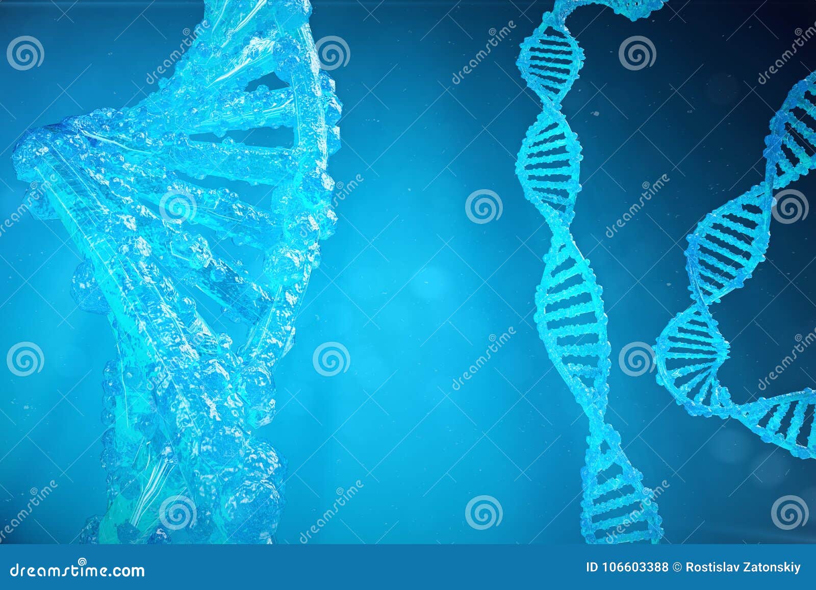Helix DNA Molecule with Modified Genes. Correcting Mutation by Genetic ...