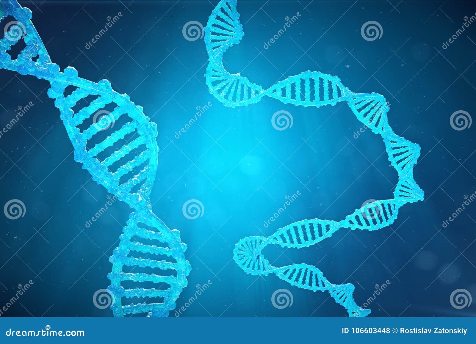 Molecular Genetics Vector Outline Horizontal Banner | CartoonDealer.com ...