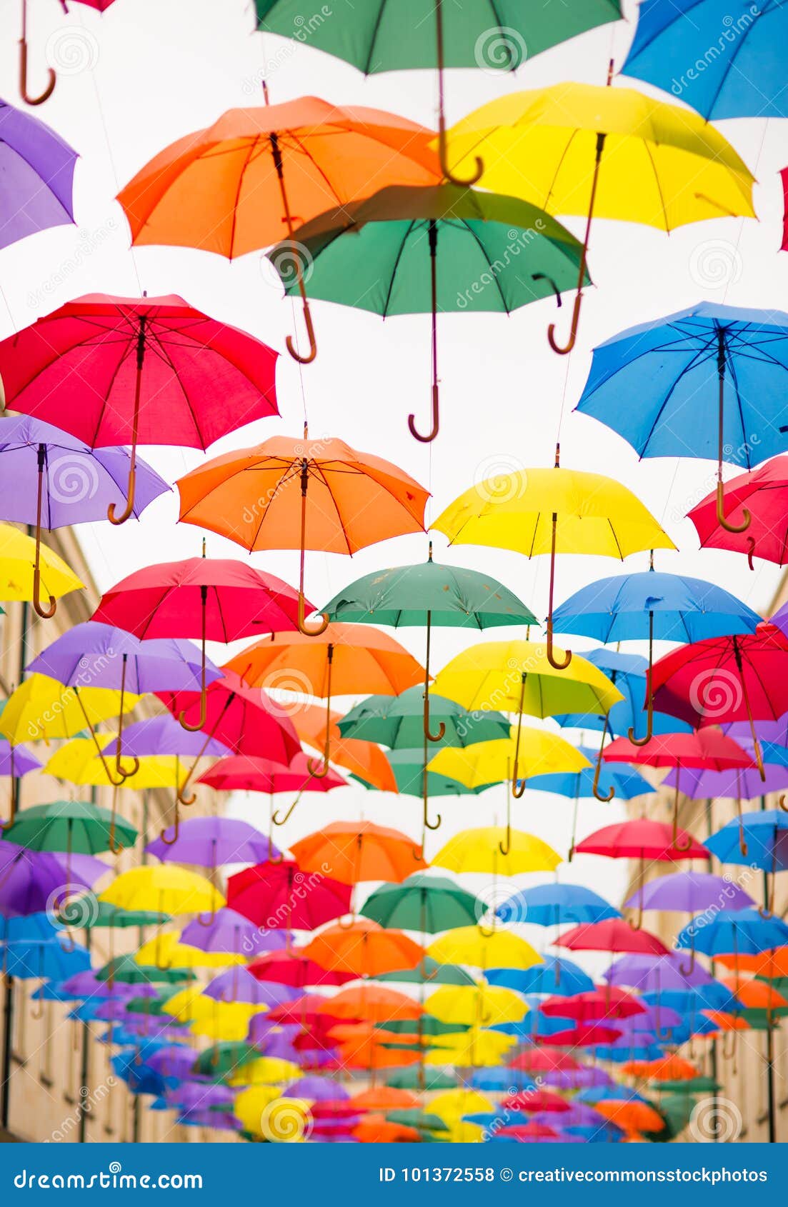 Licht Buntes Buntes Bild. Bild: 101372558