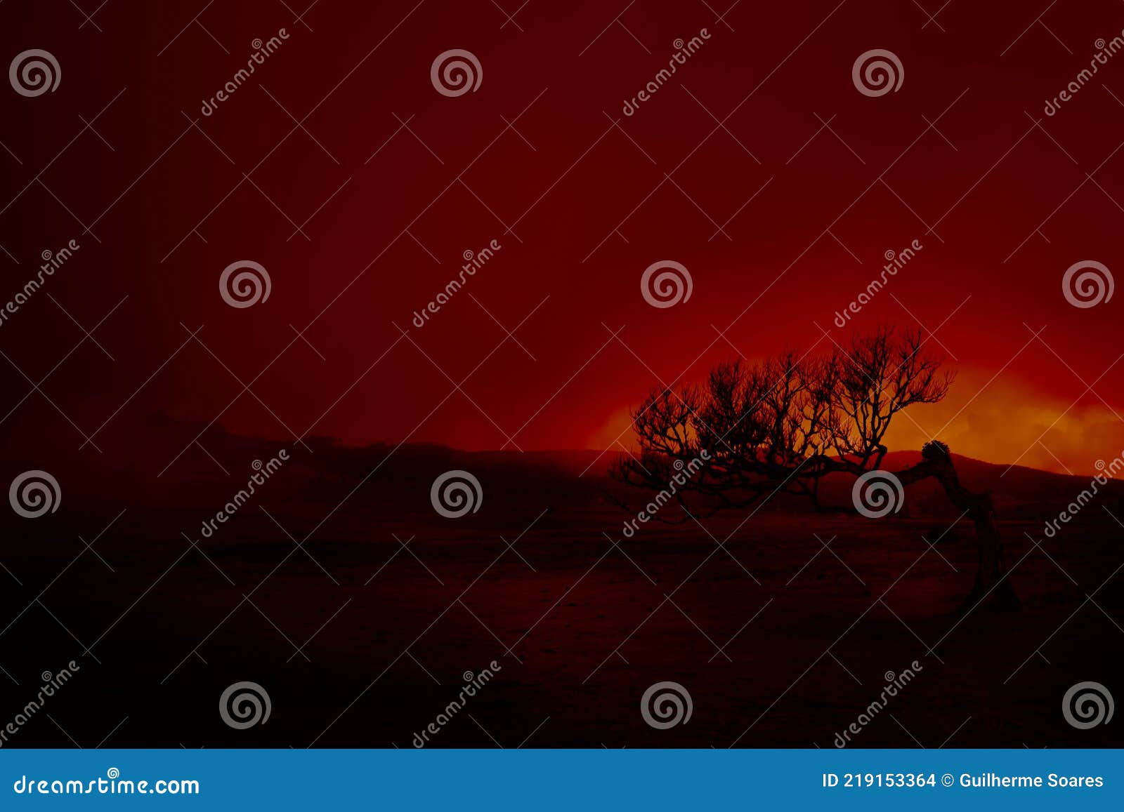 Hell on Earth, Alone Tree Against Red Sky Stock Photo - Image of ...