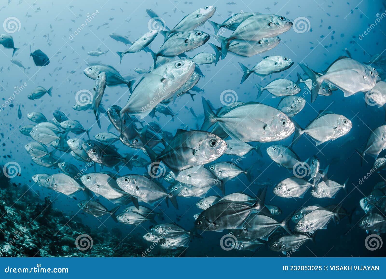 Helllo Stock Photos - Free & Royalty-Free Stock Photos from Dreamstime