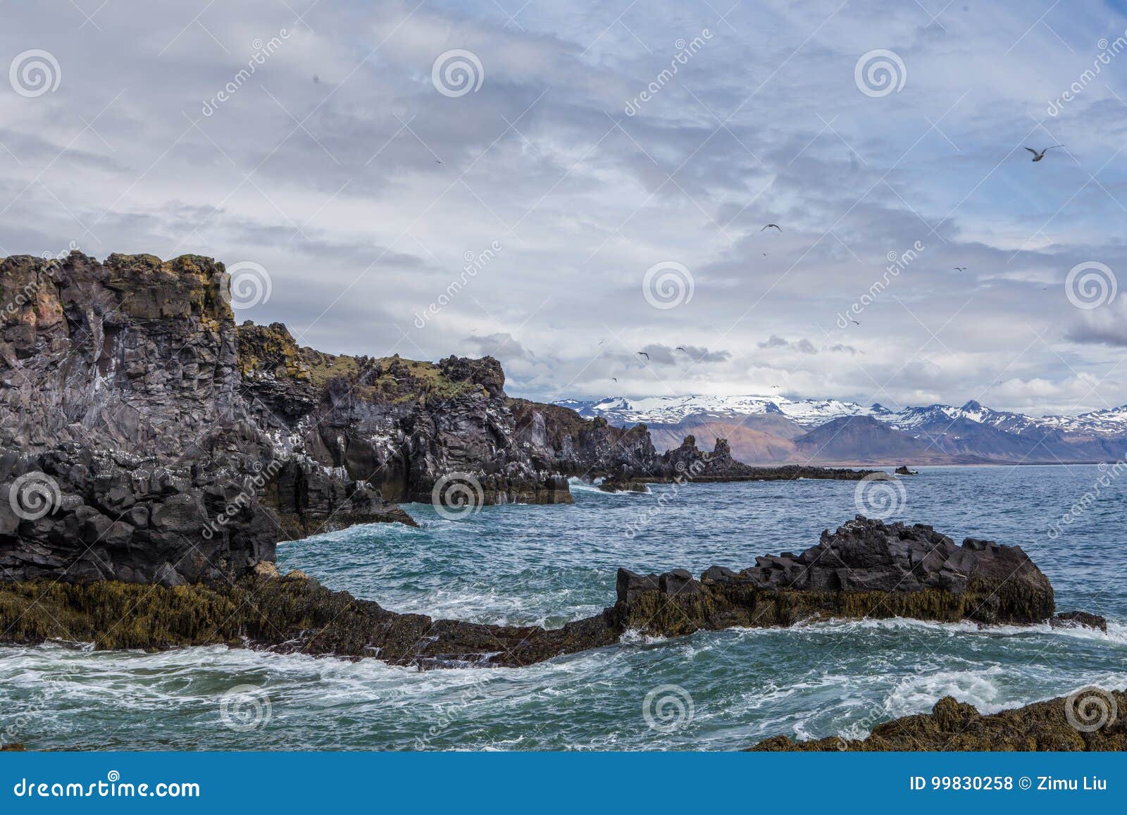 Hellnar stock photo. Image of north, brown, mare, meadow - 99830258
