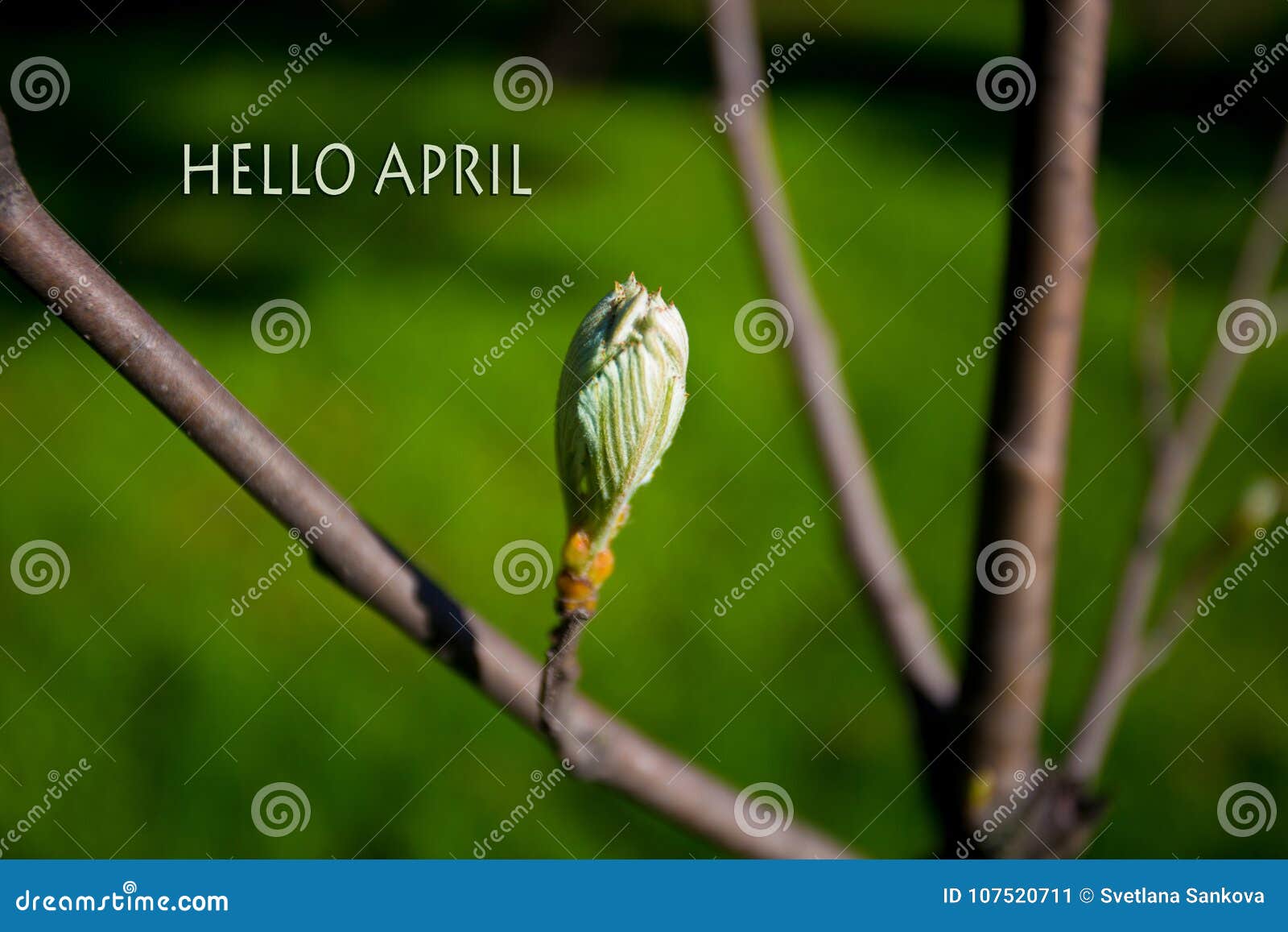 Hello April, Message with Beautiful Nature Scene Stock Image - Image of ...