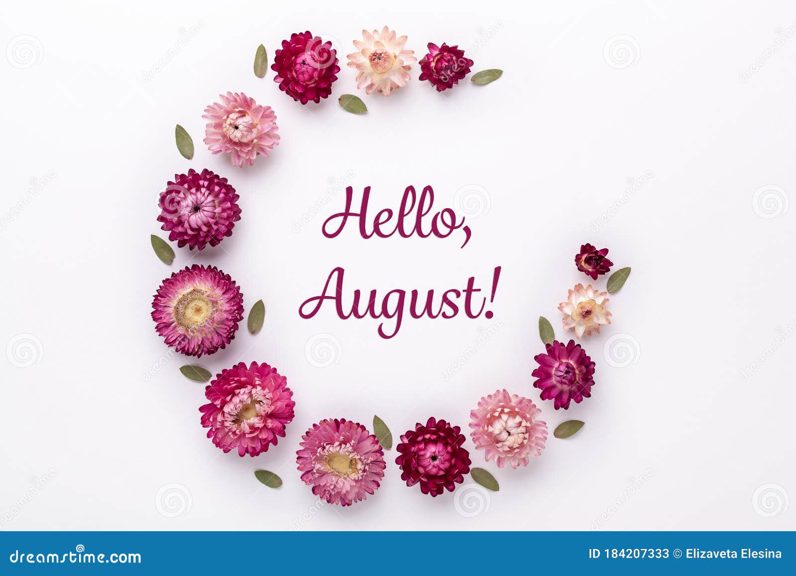 Hello August. Beautiful Flower Composition. Frame Made of Dry Flowers ...
