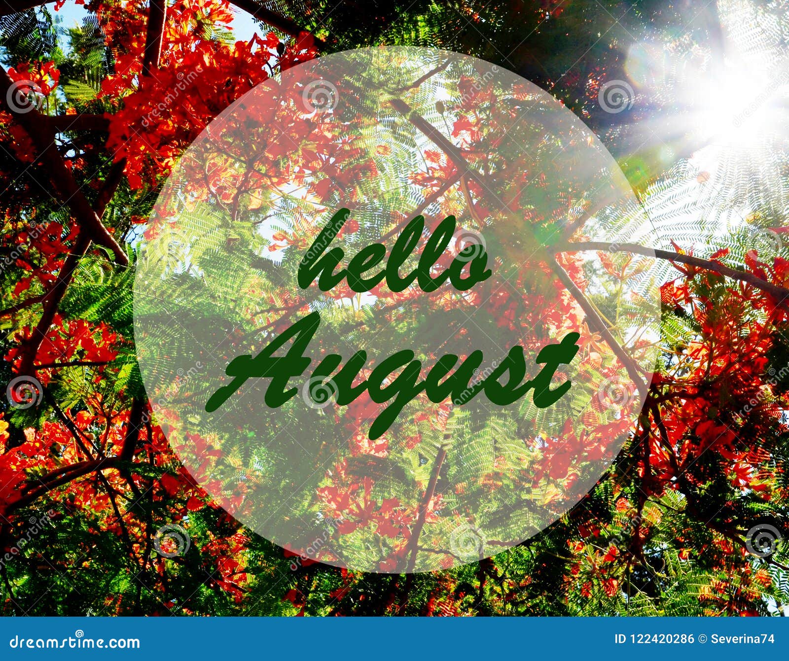 Hello August Tumblr
