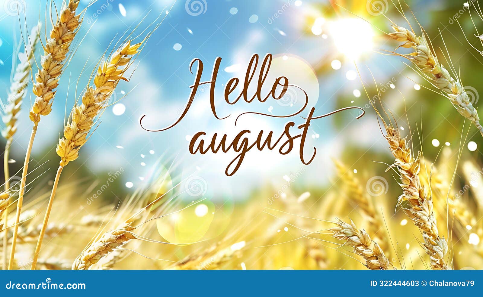 Hello August - Text on a Background of Wheat Field in Sunny Day Stock ...