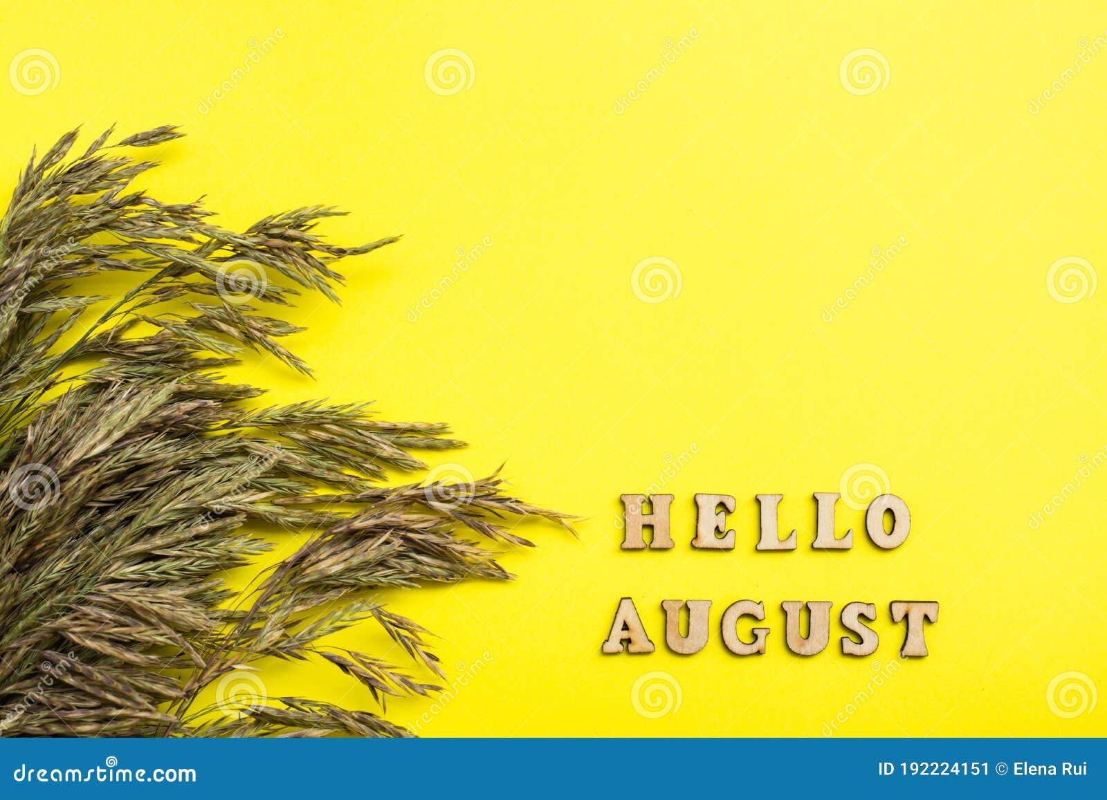 Hello August. Text in Wooden Letters and Ears of Grass on a Yellow ...
